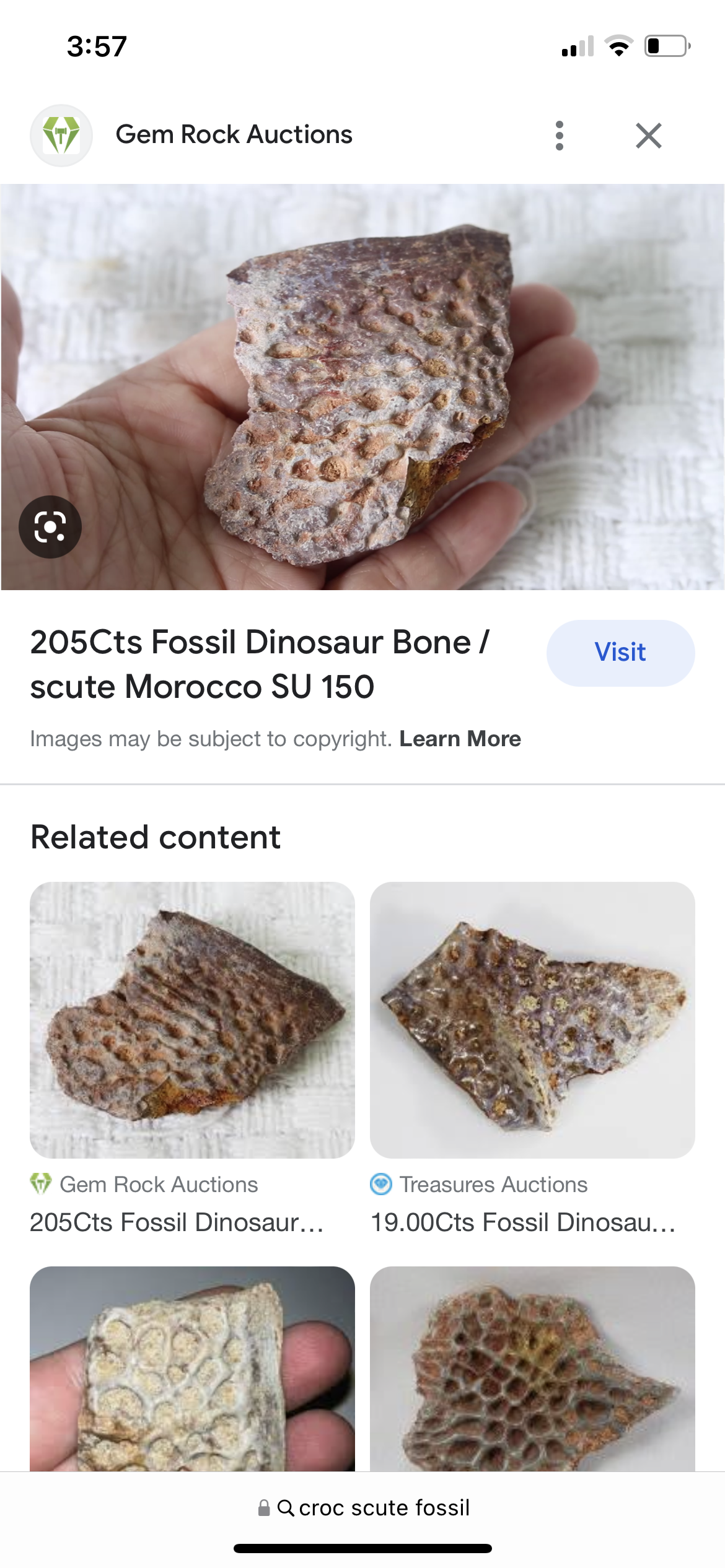 Crocodile armor scute - Fossil ID - The Fossil Forum