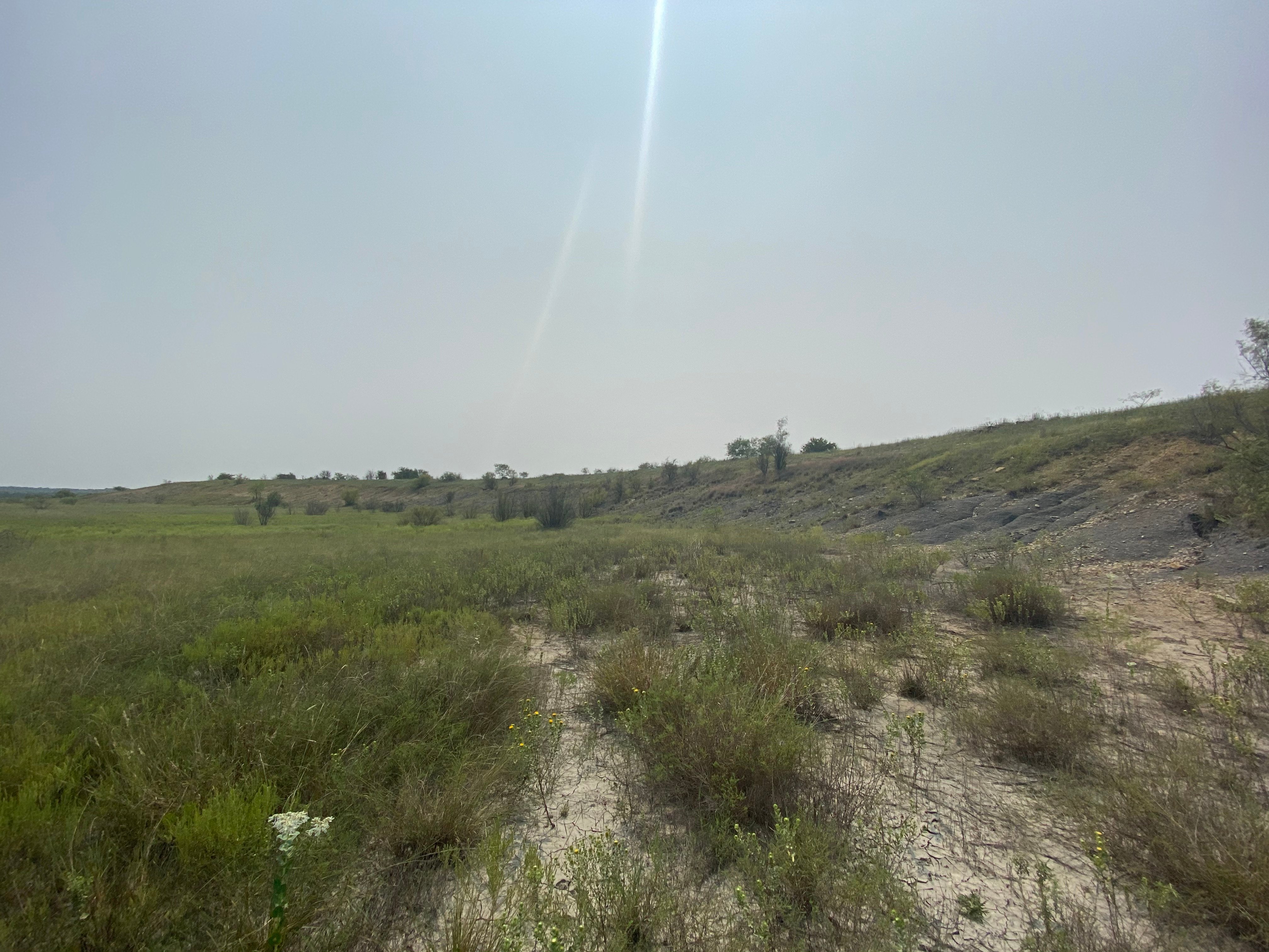 Checking off Pennsylvanian Bucket List Finds at Lake Jacksboro - Fossil ...
