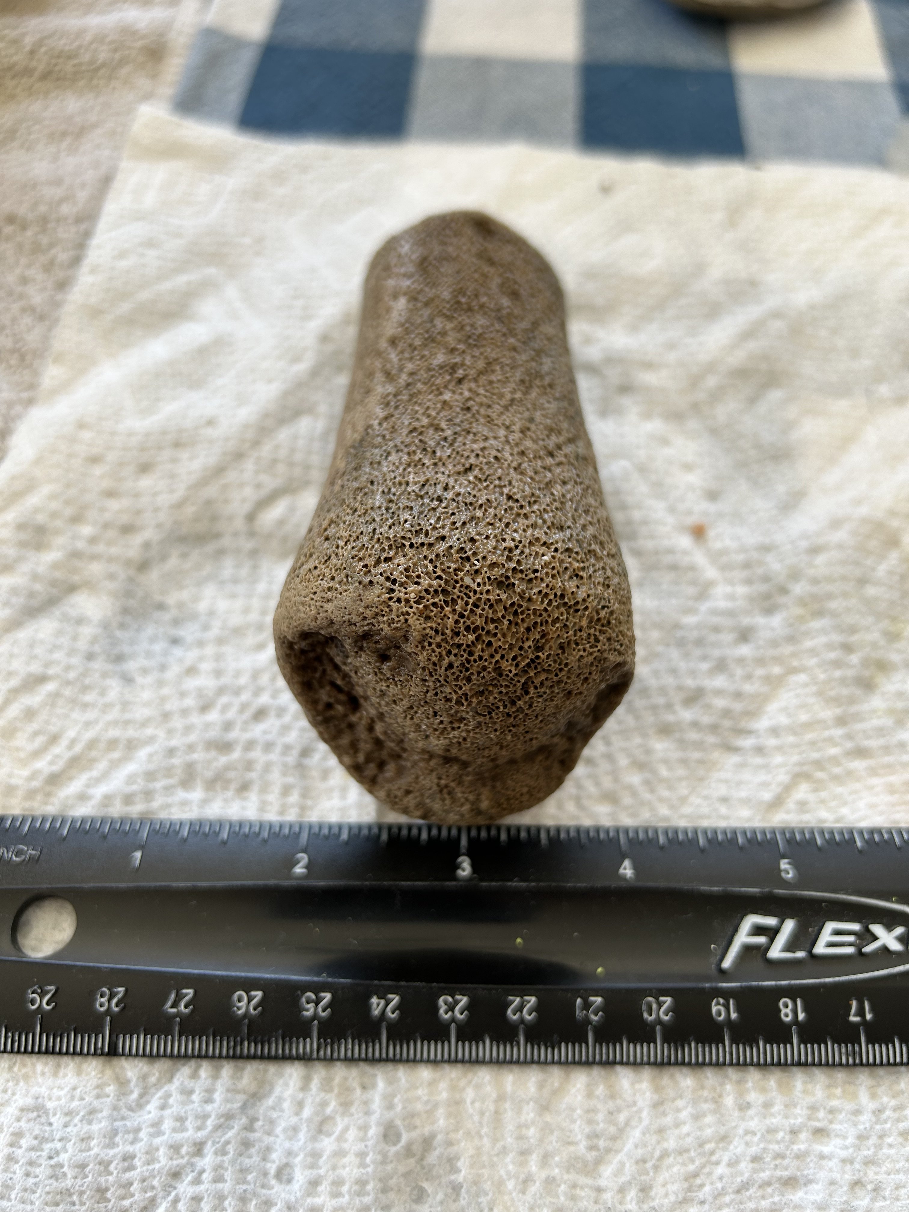 Fossilized leg bone with teeth marks? - Fossil ID - The Fossil Forum
