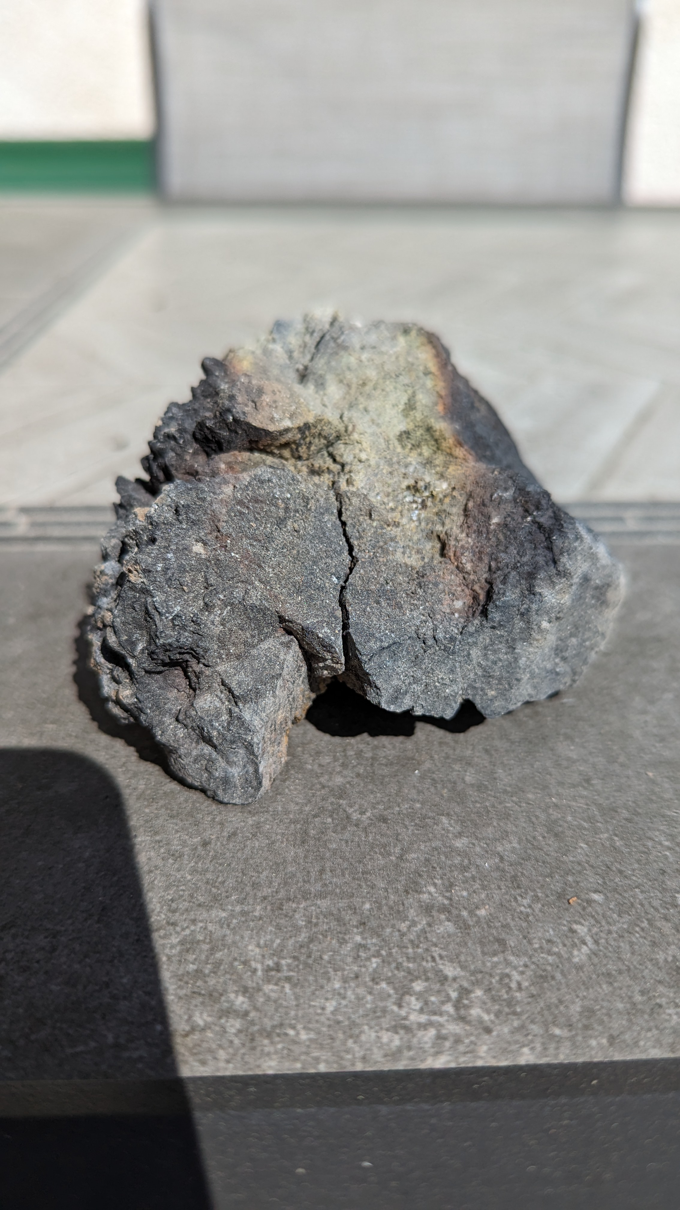 Morrison Formation Sediment - Fossil ID - The Fossil Forum
