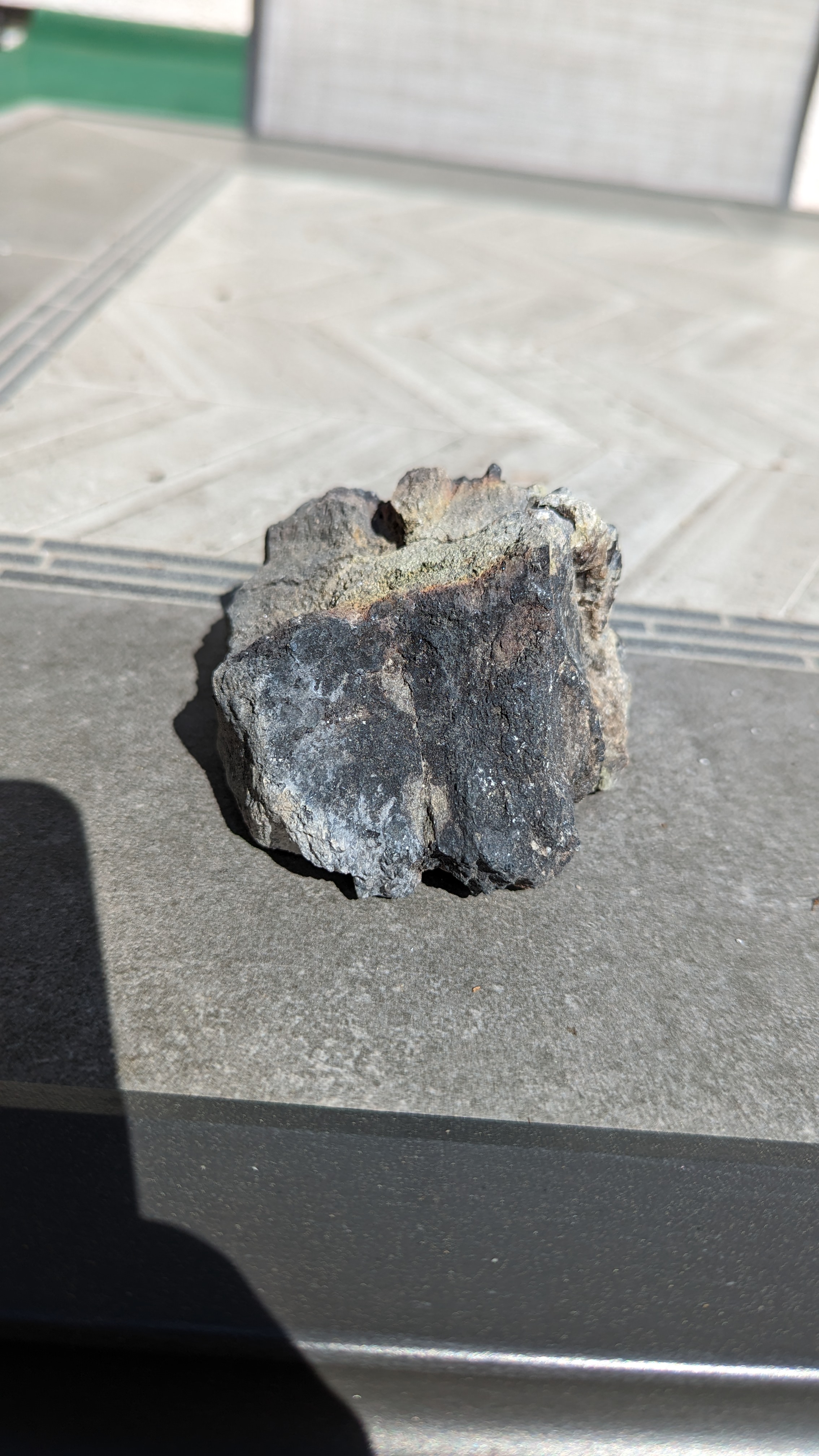 Morrison Formation Sediment - Fossil ID - The Fossil Forum