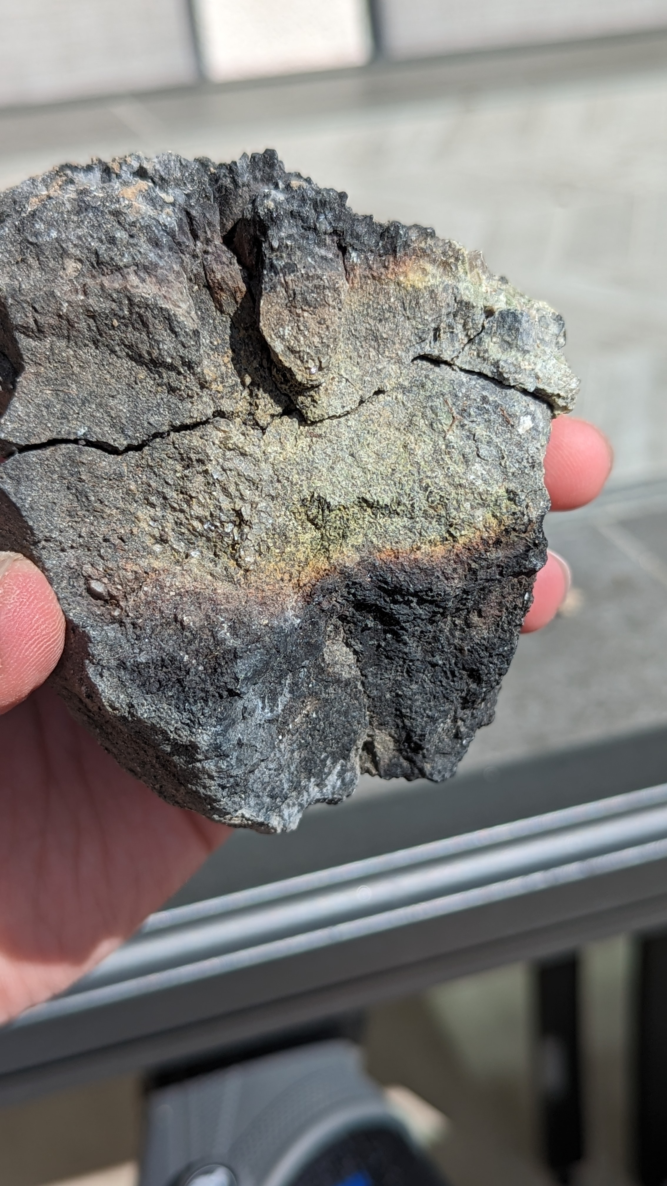 Morrison Formation Sediment - Fossil ID - The Fossil Forum