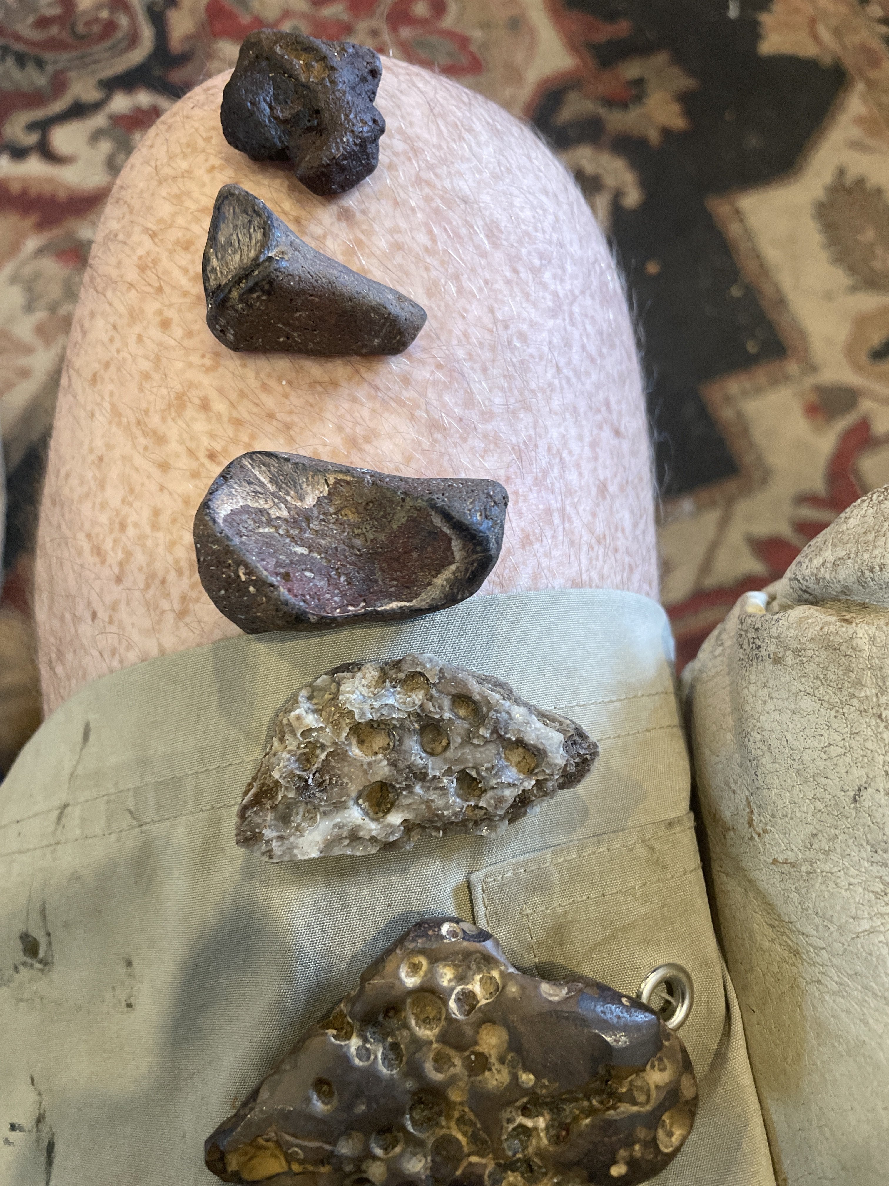 Crocodile armor scute - Fossil ID - The Fossil Forum