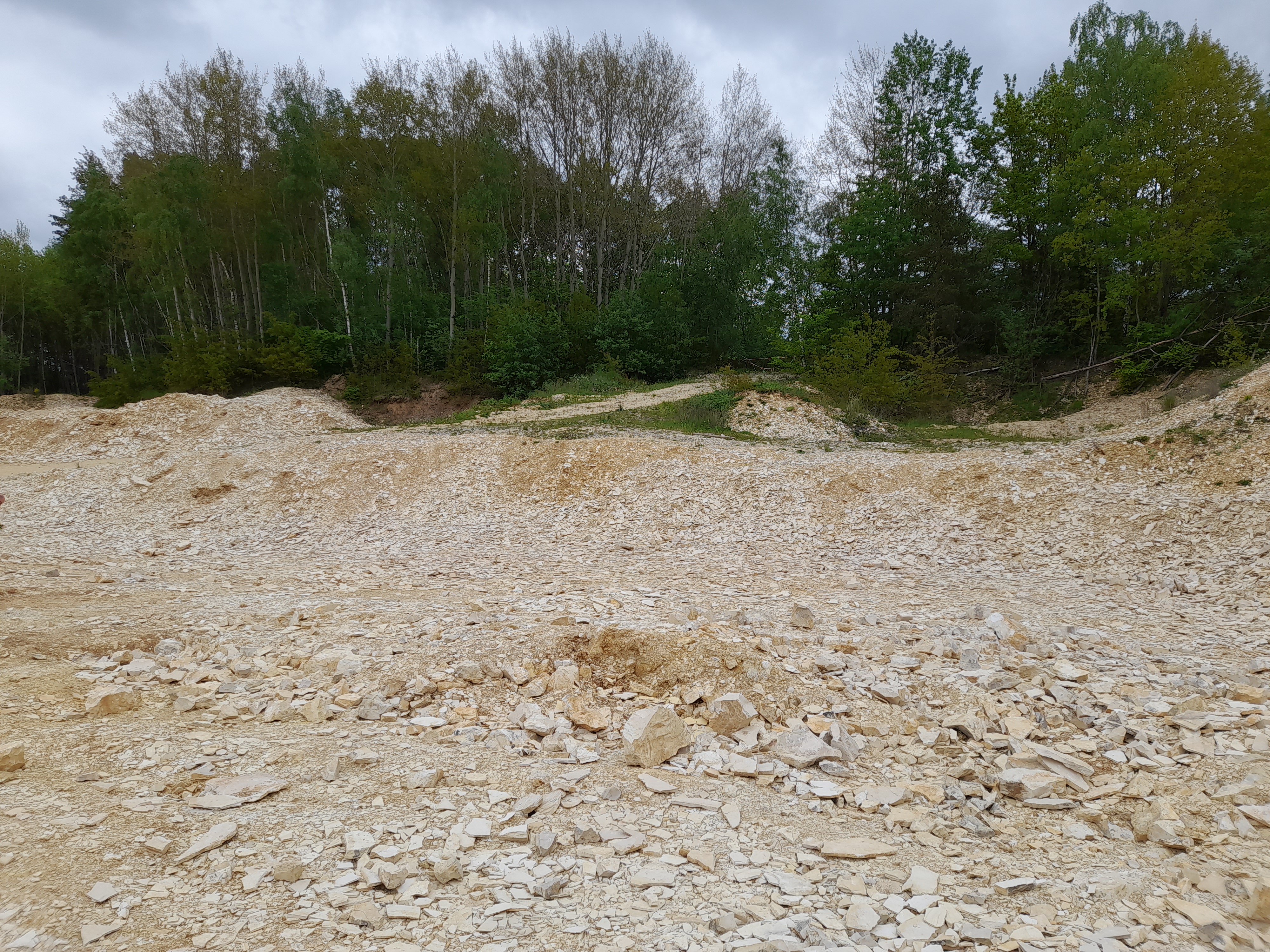BVP Fieldtrip to Solnhofen Limestone (Jurassic of Germany) + Museum ...