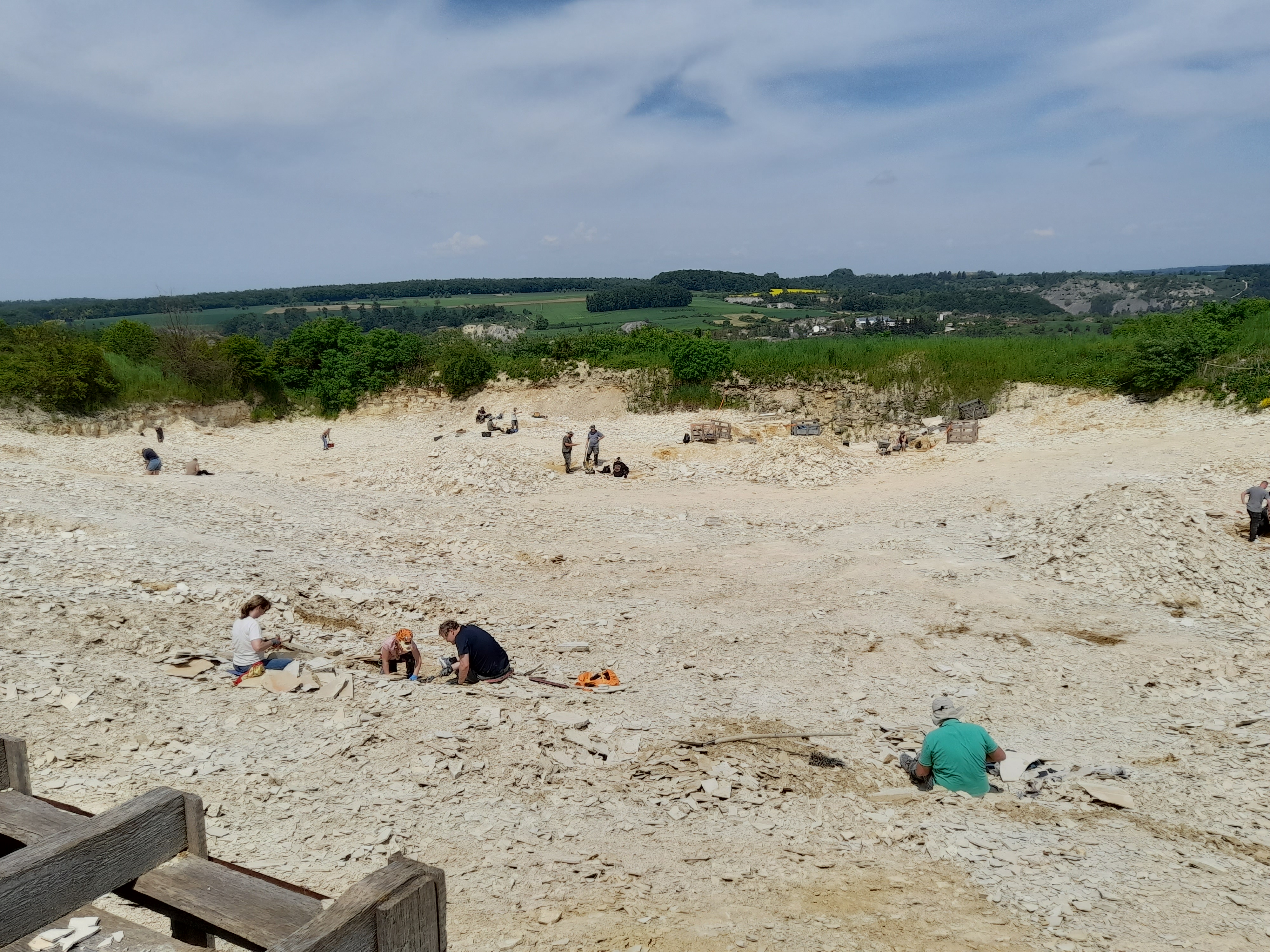 BVP Fieldtrip to Solnhofen Limestone (Jurassic of Germany) + Museum ...