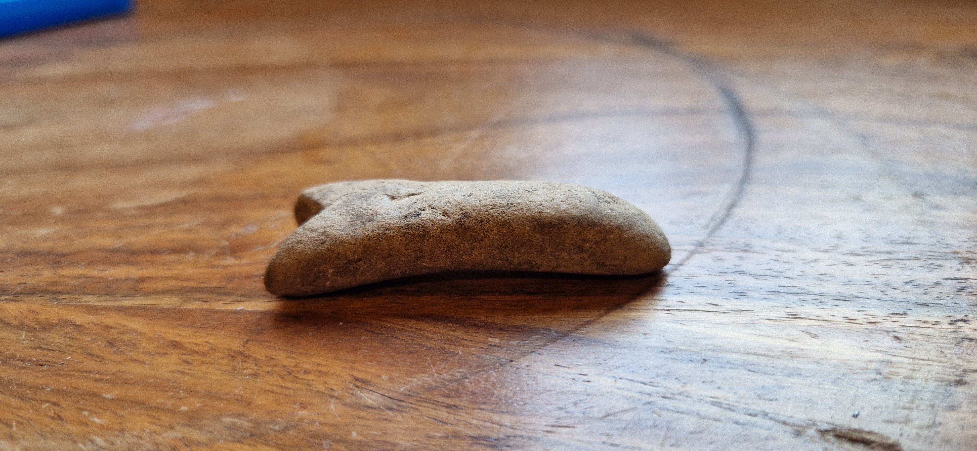 Tooth or tooth looking stone? - Fossil ID - The Fossil Forum