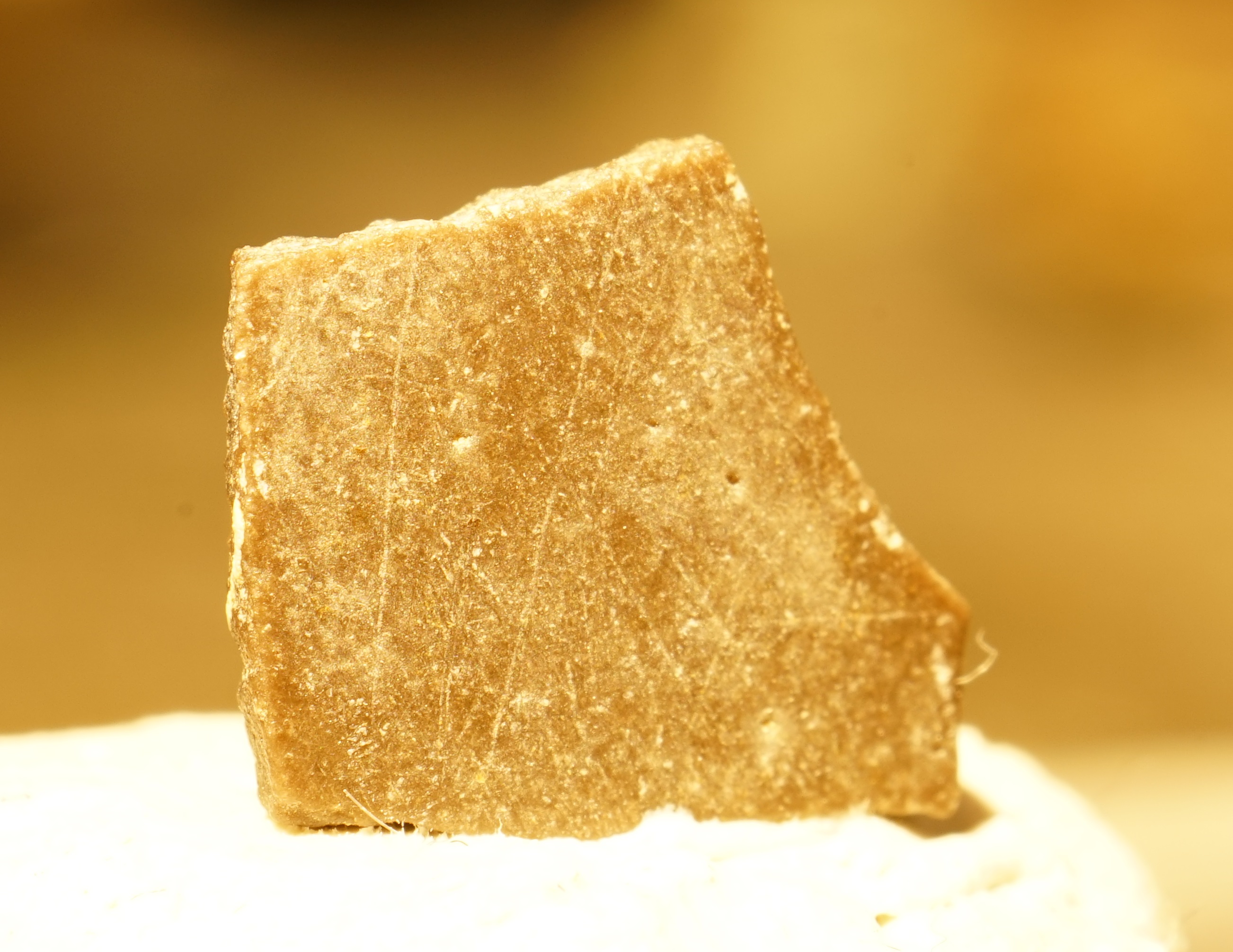 Eggshell? - Fossil ID - The Fossil Forum
