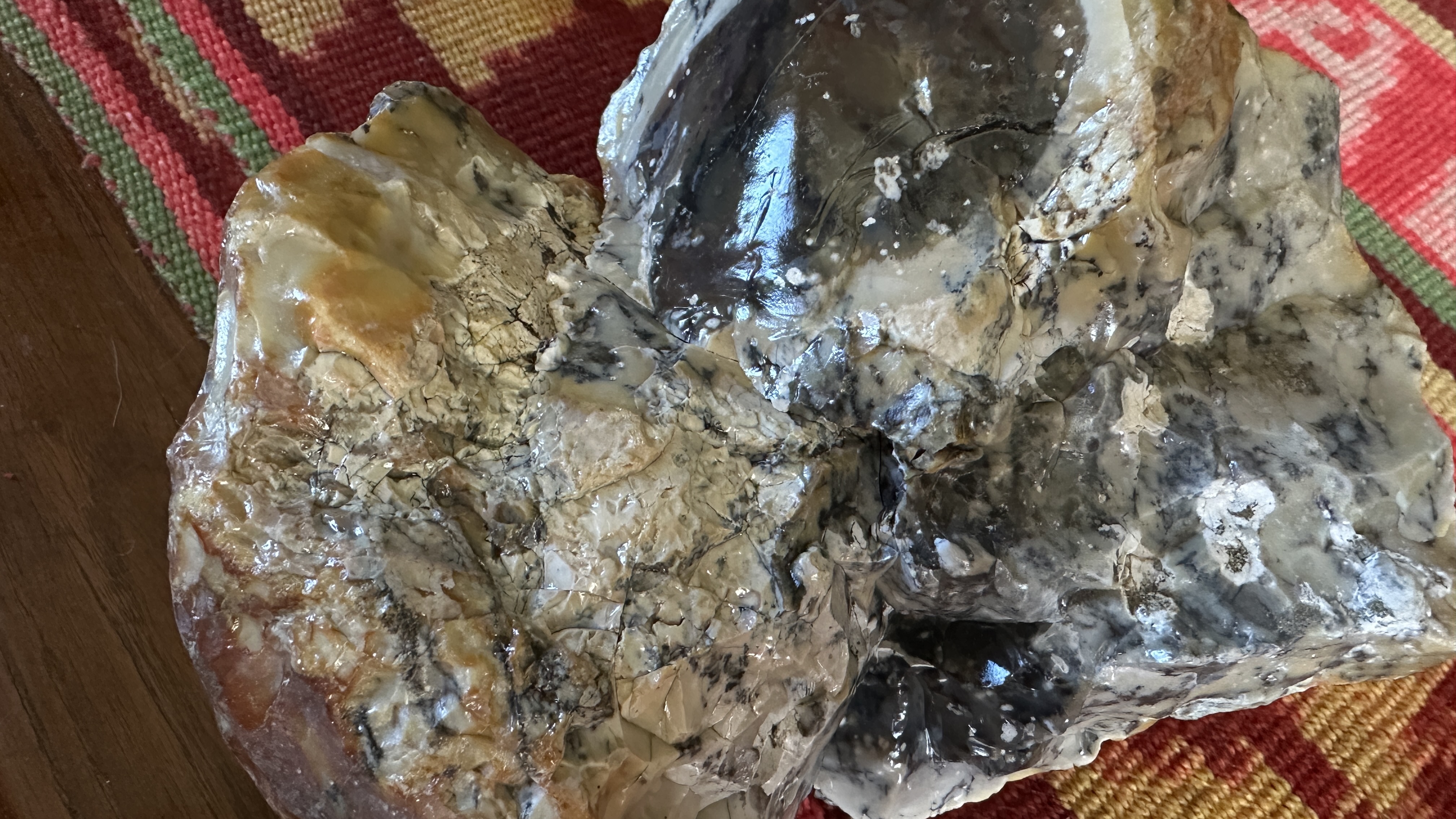 Identification, rock, coprolite? - Fossil ID - The Fossil Forum