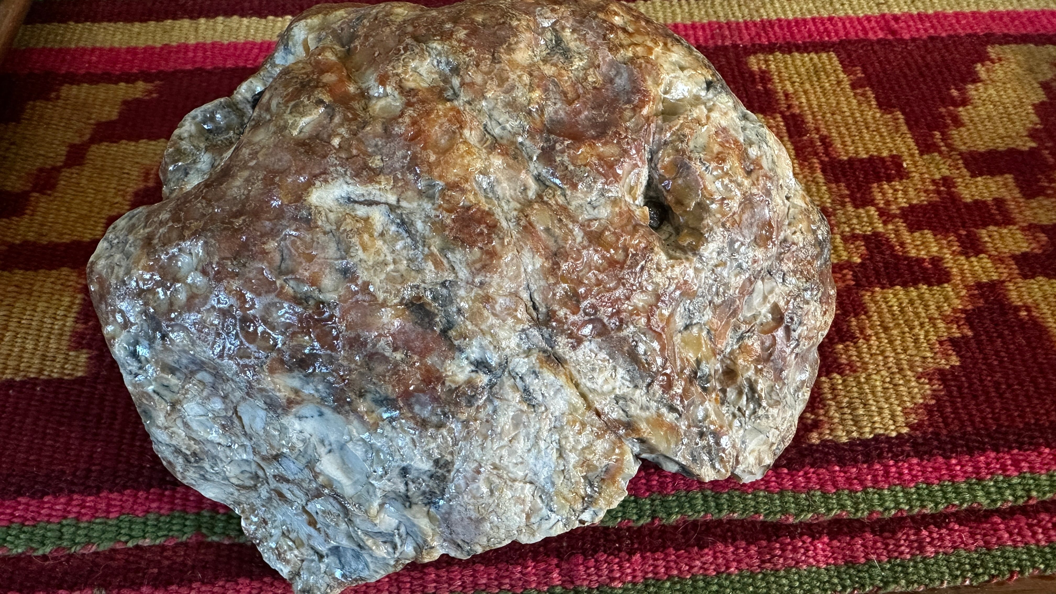 Identification, rock, coprolite? - Fossil ID - The Fossil Forum