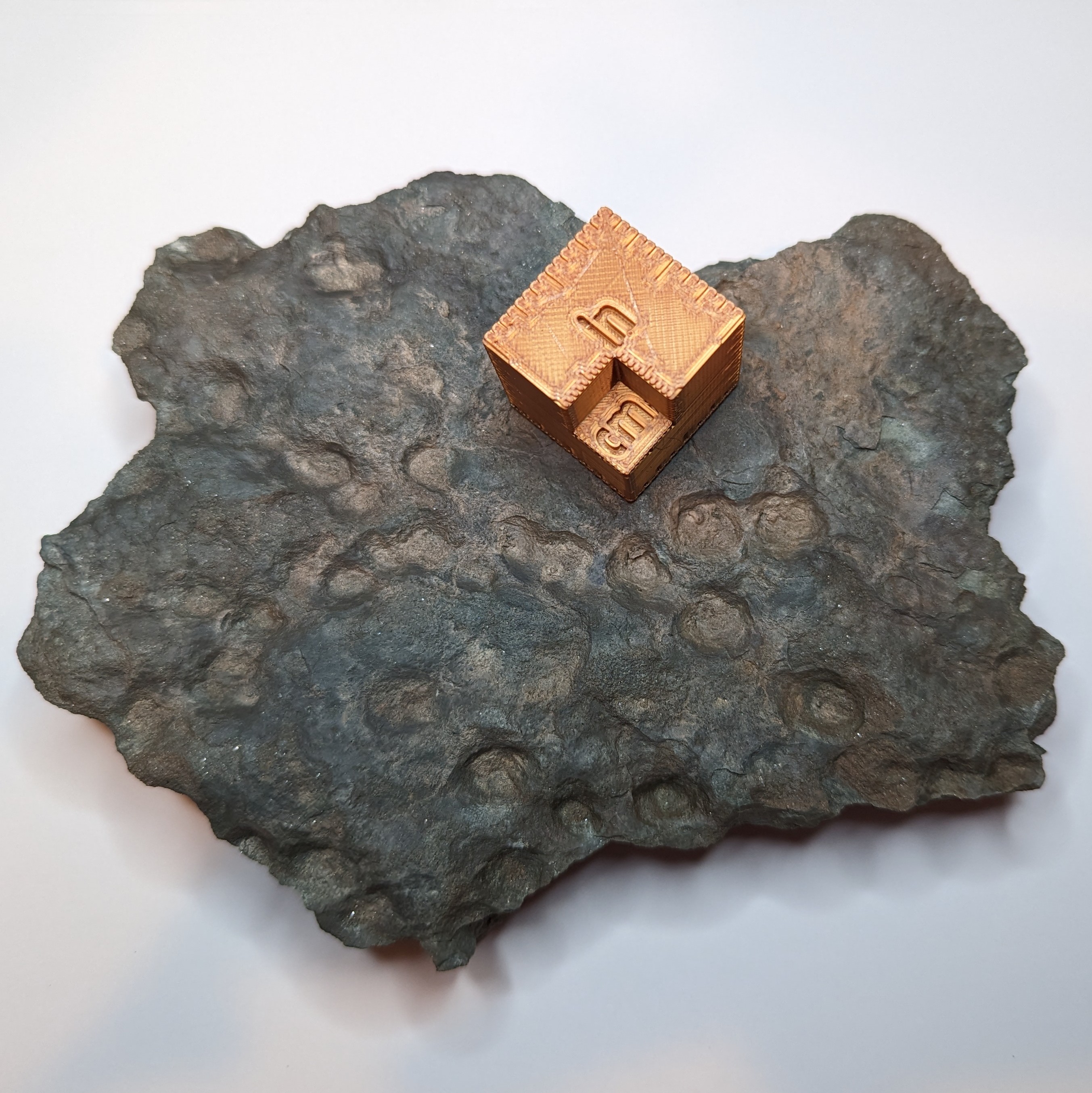 Catskill Fm. Ichnofossil or geologic? - Fossil ID - The Fossil Forum