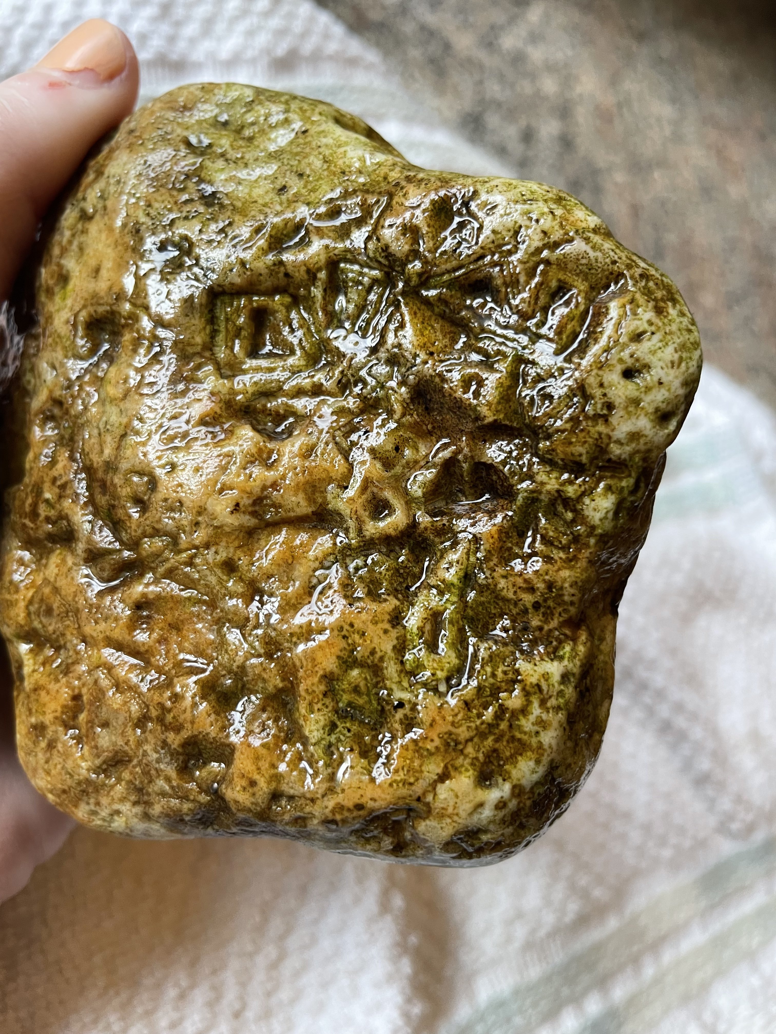 Rock with triangle and square markings - Fossil ID - The Fossil Forum