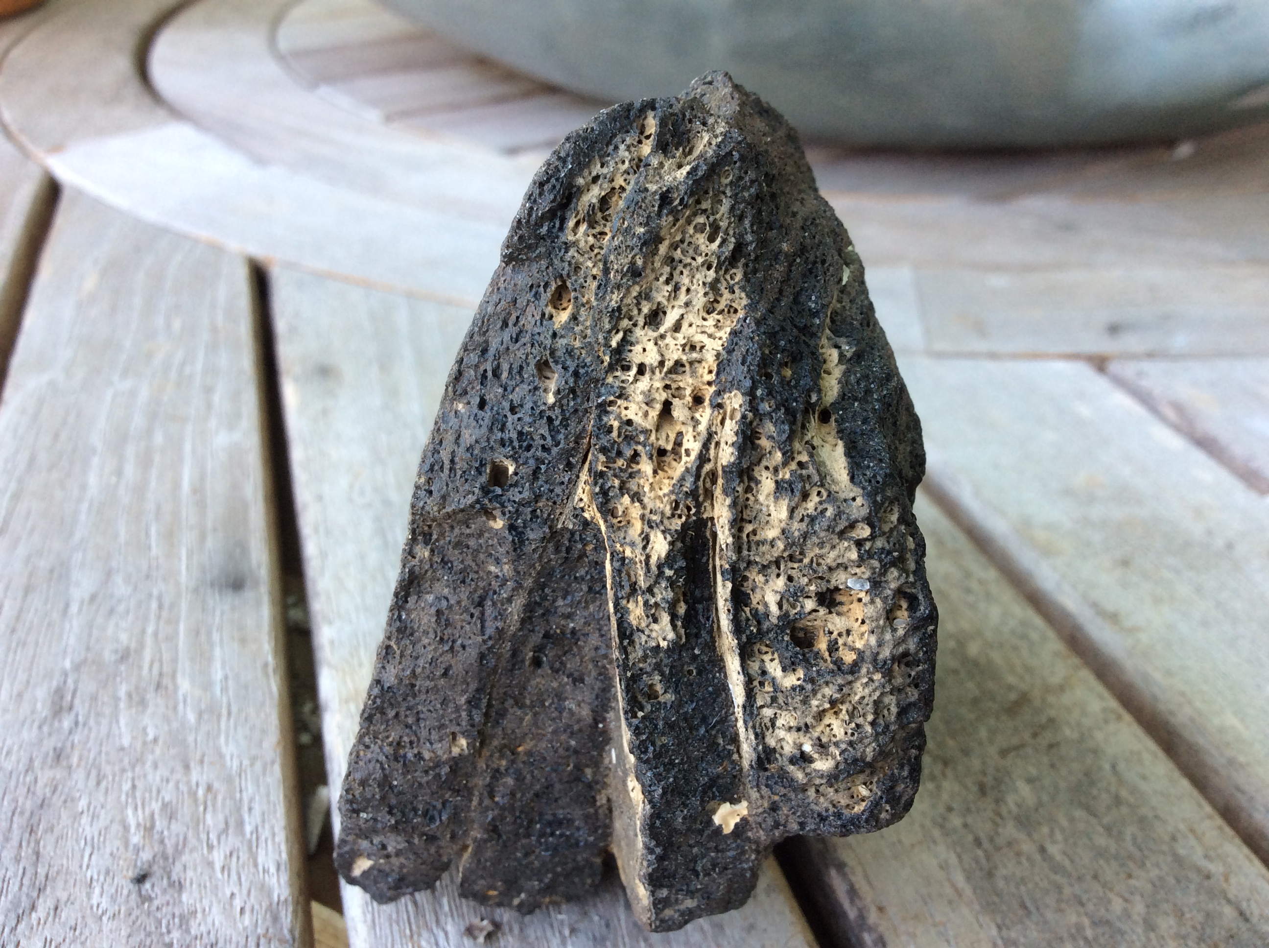 Odd St Mary’s River bone - Fossil ID - The Fossil Forum