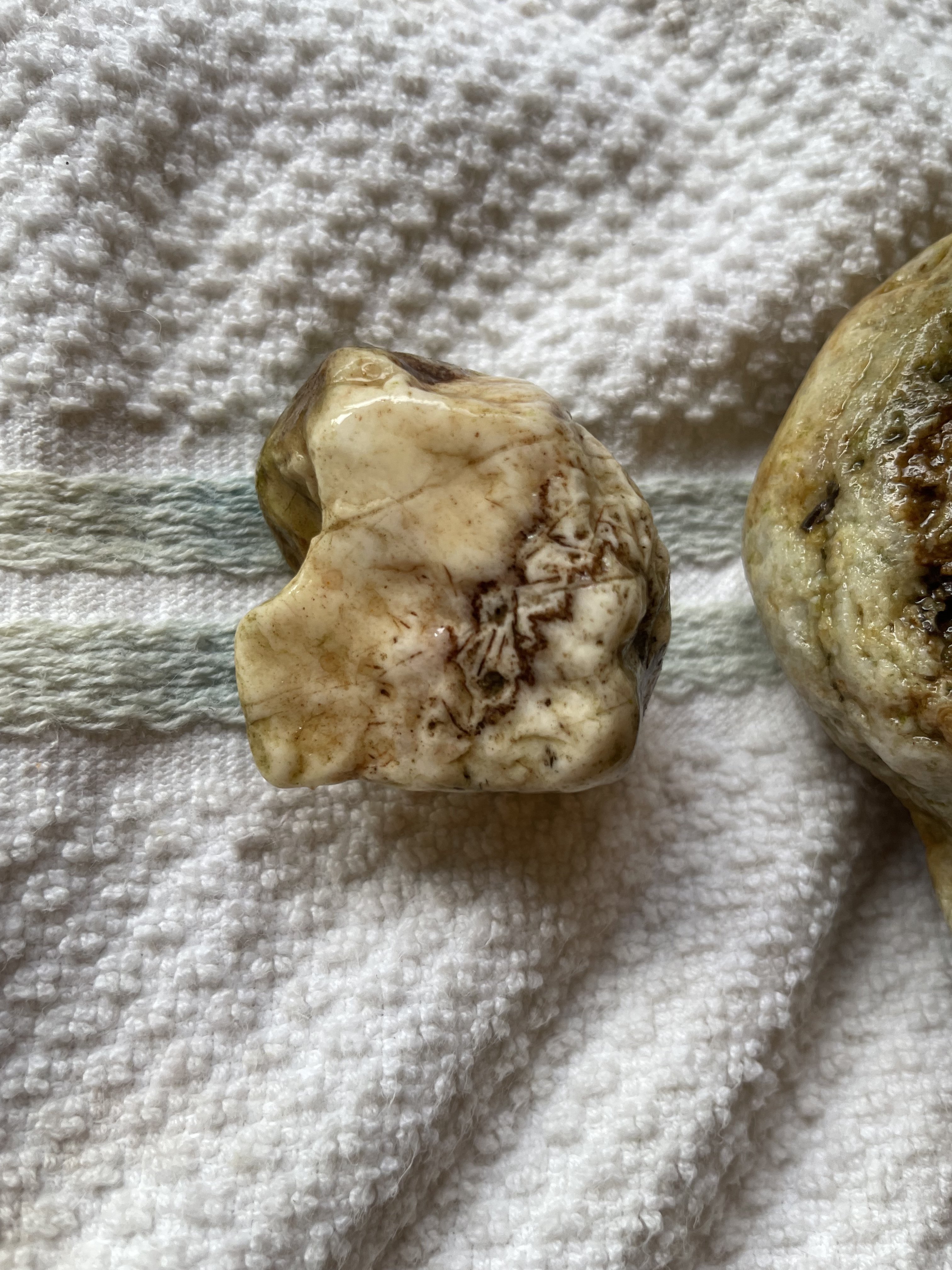 Rock with triangle and square markings - Fossil ID - The Fossil Forum