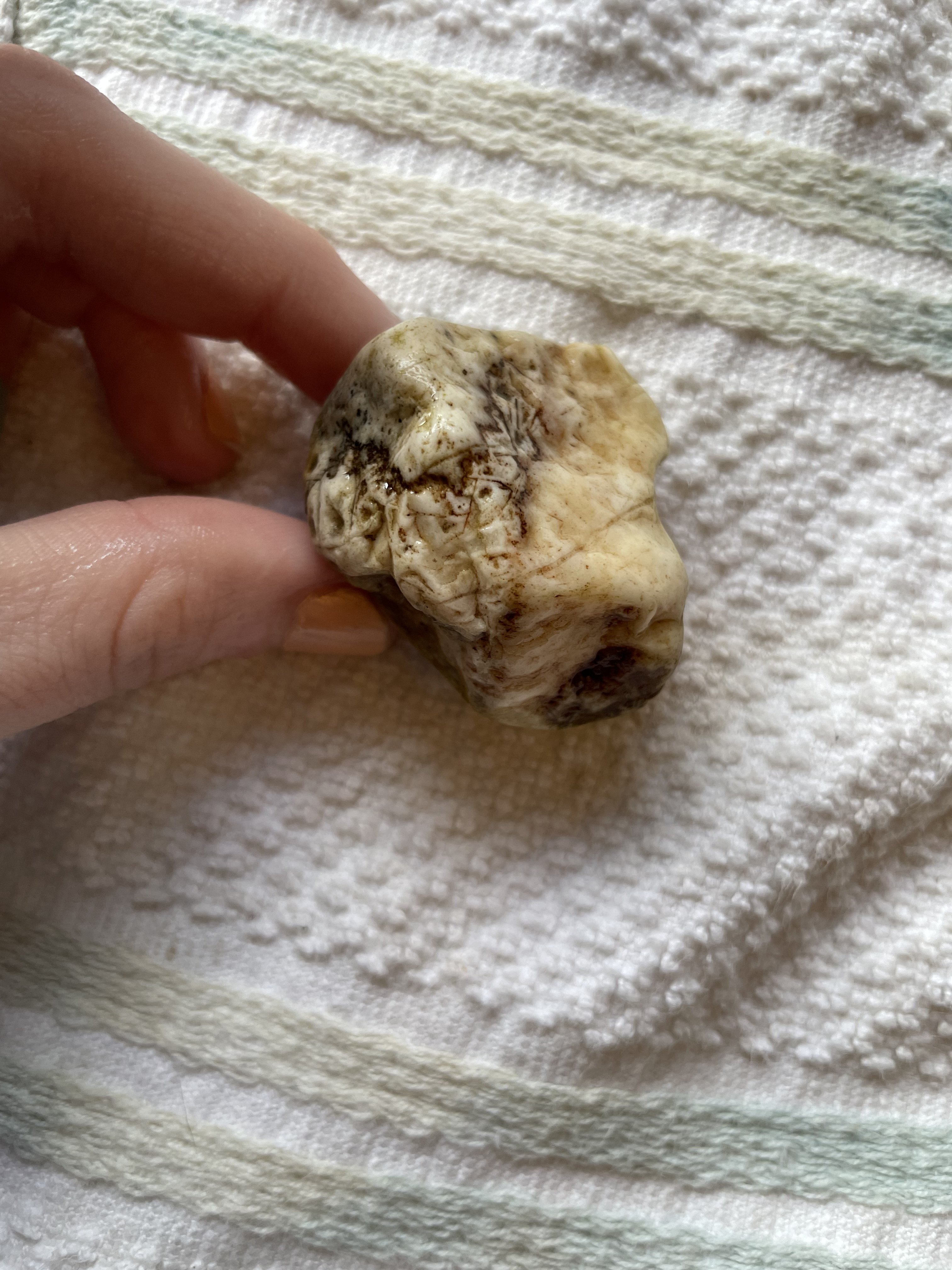 Rock with triangle and square markings - Fossil ID - The Fossil Forum