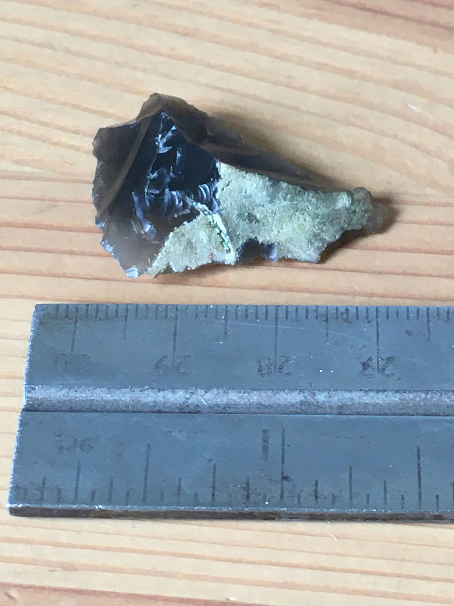 Fossilised material in flint? - Fossil ID - The Fossil Forum