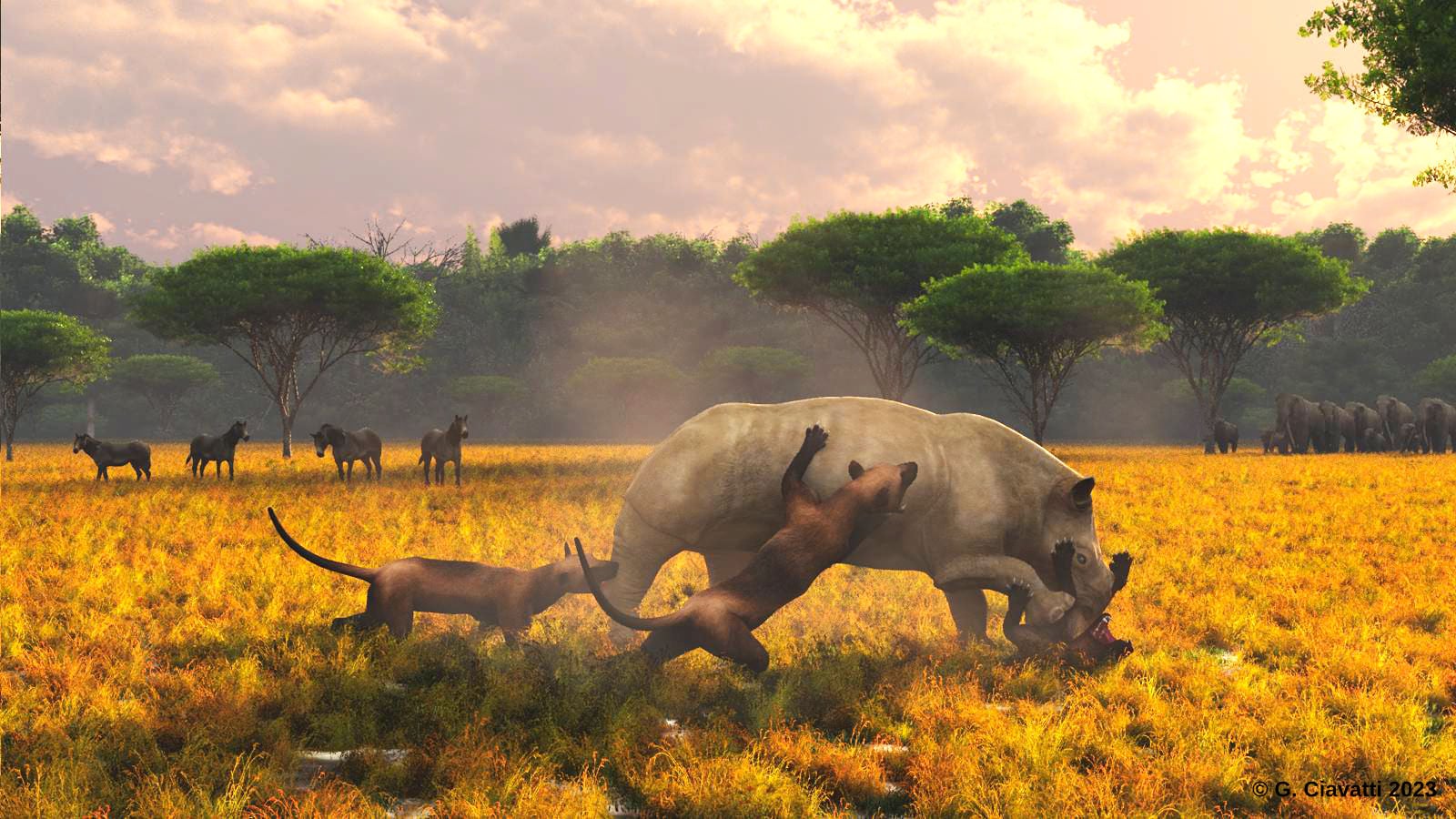 A reconstruction of the biotope of Sansan (Miocene, Gers, France ...