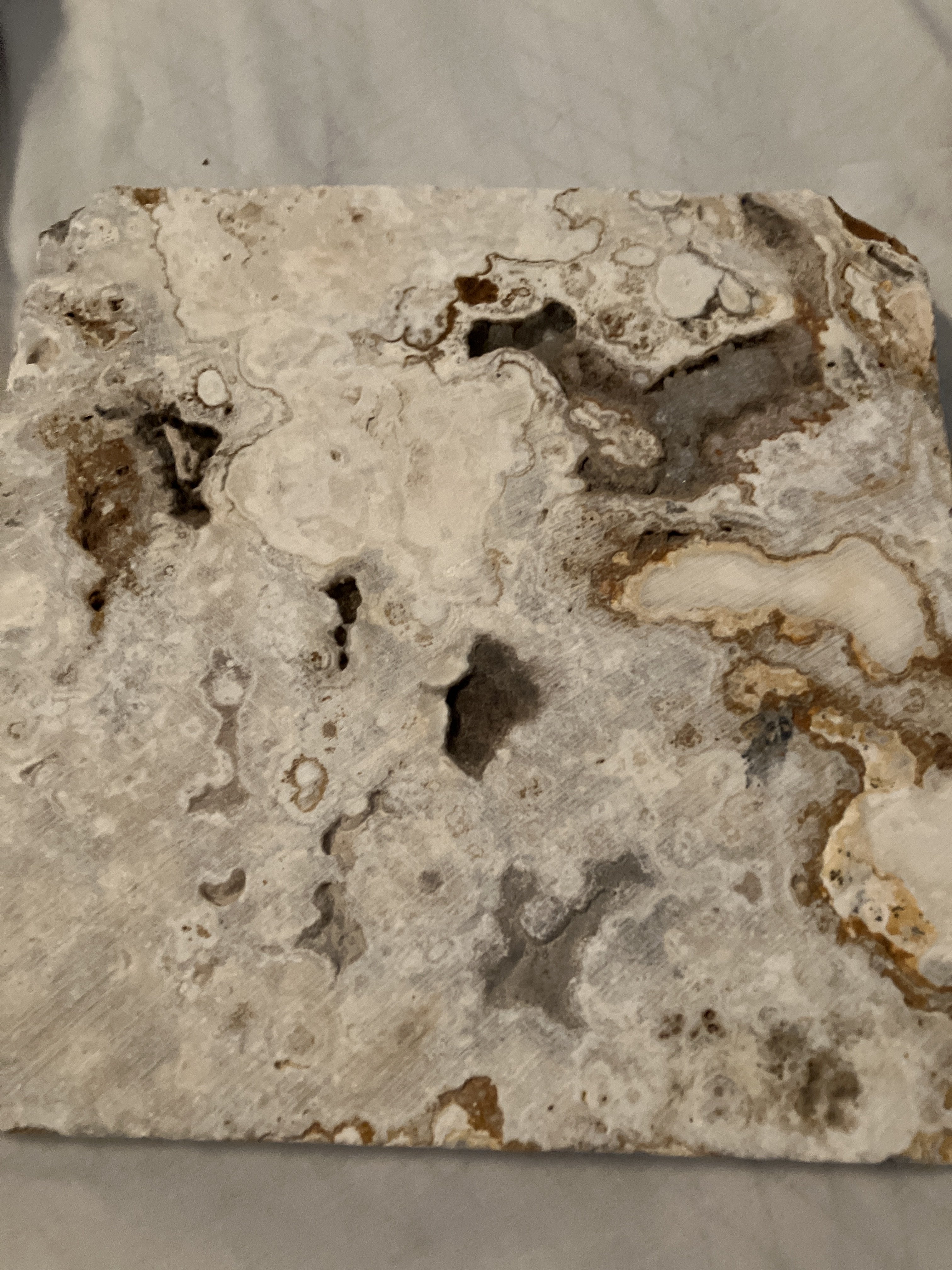 Id? Travertine - Rocks & Minerals - The Fossil Forum