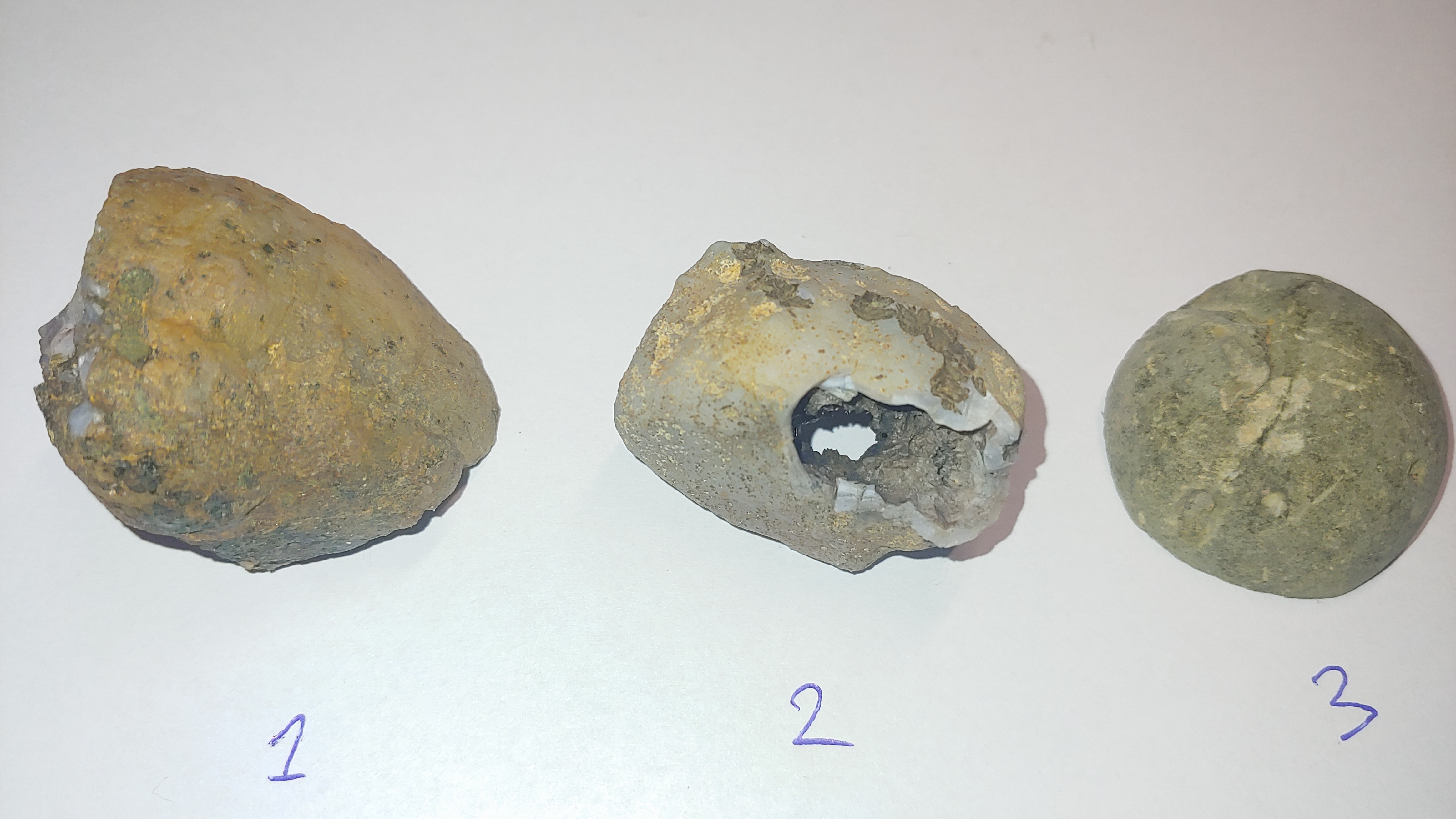 Identification crystalised shell/fossil - Fossil ID - The Fossil Forum