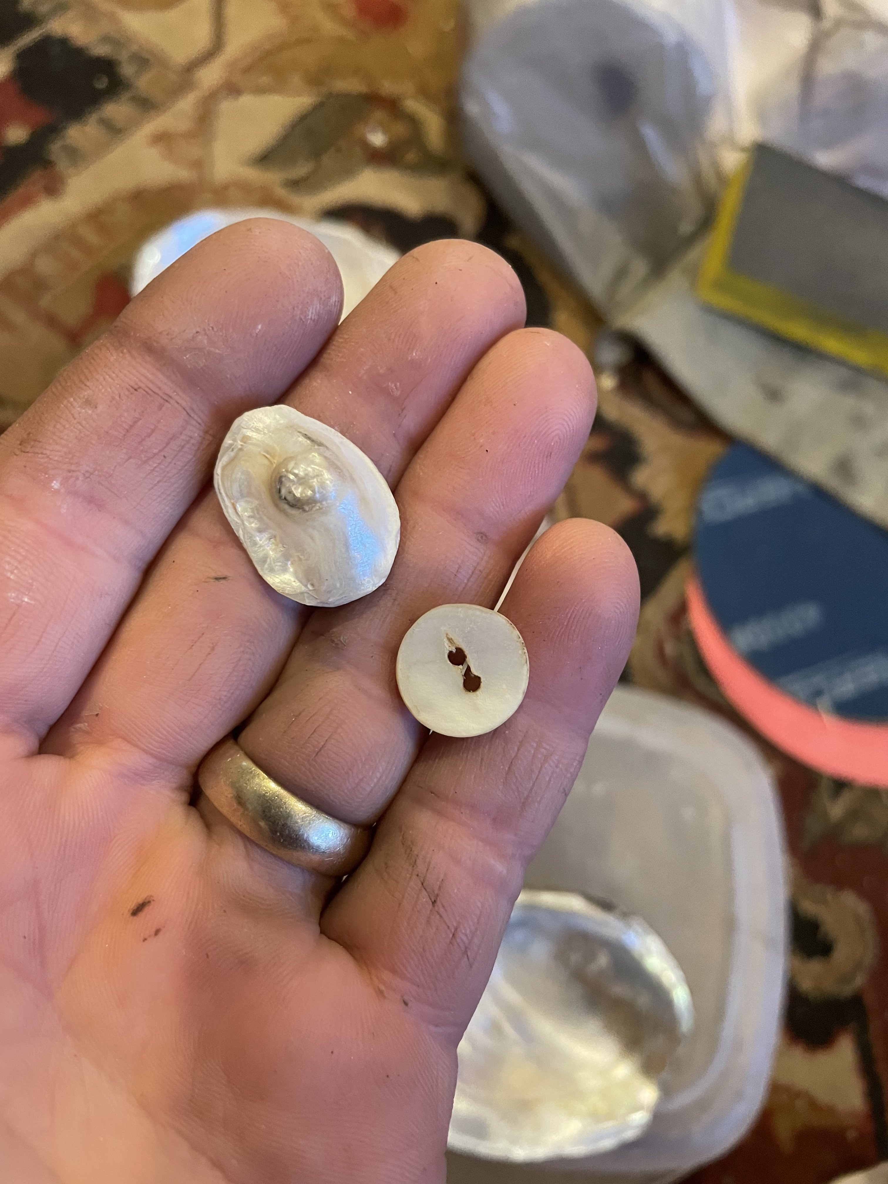 Texas river blister pearls finds examples - Rocks & Minerals - The ...