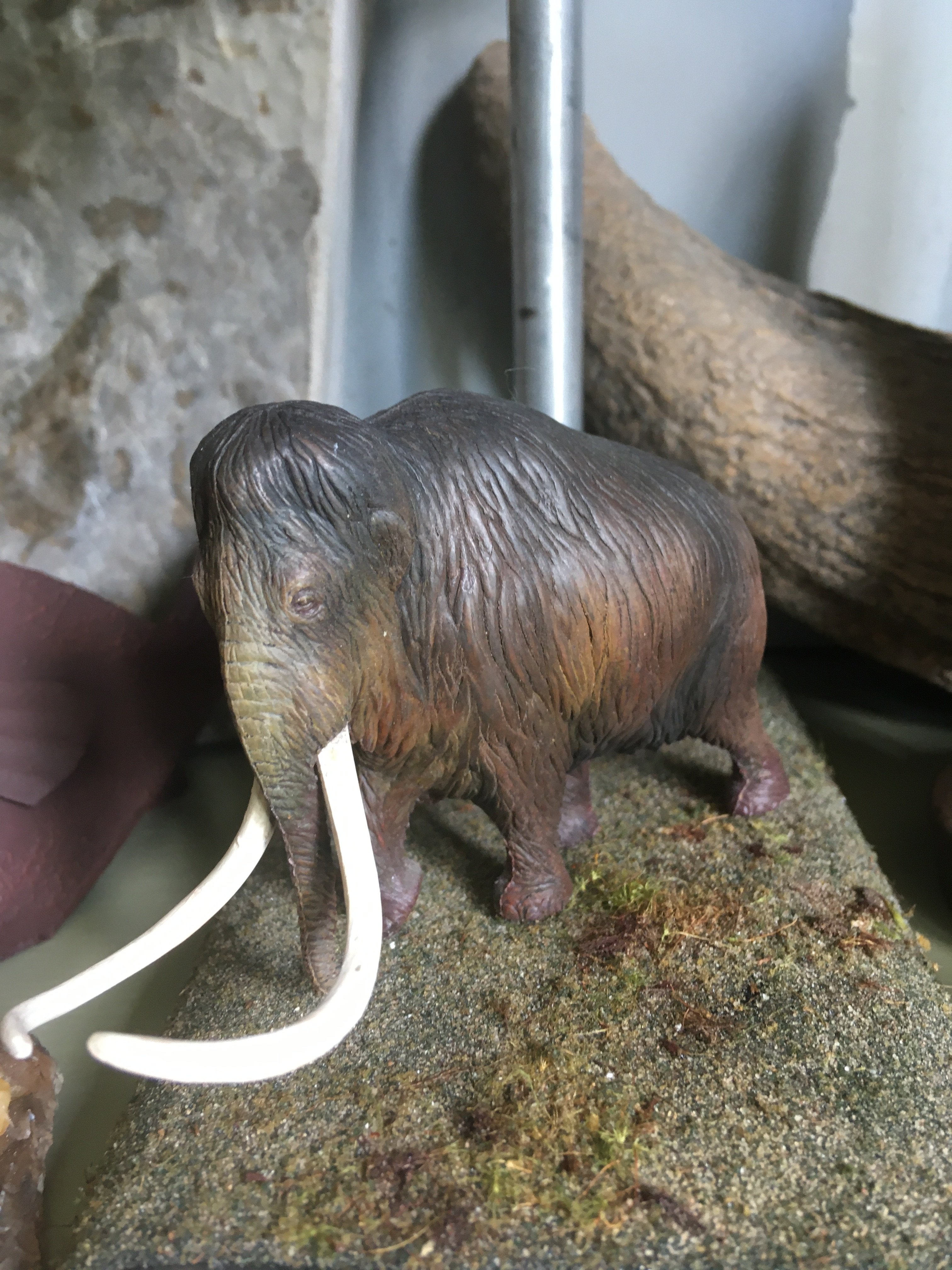 “show us your handmade display stands” - Fossil Preparation - The ...