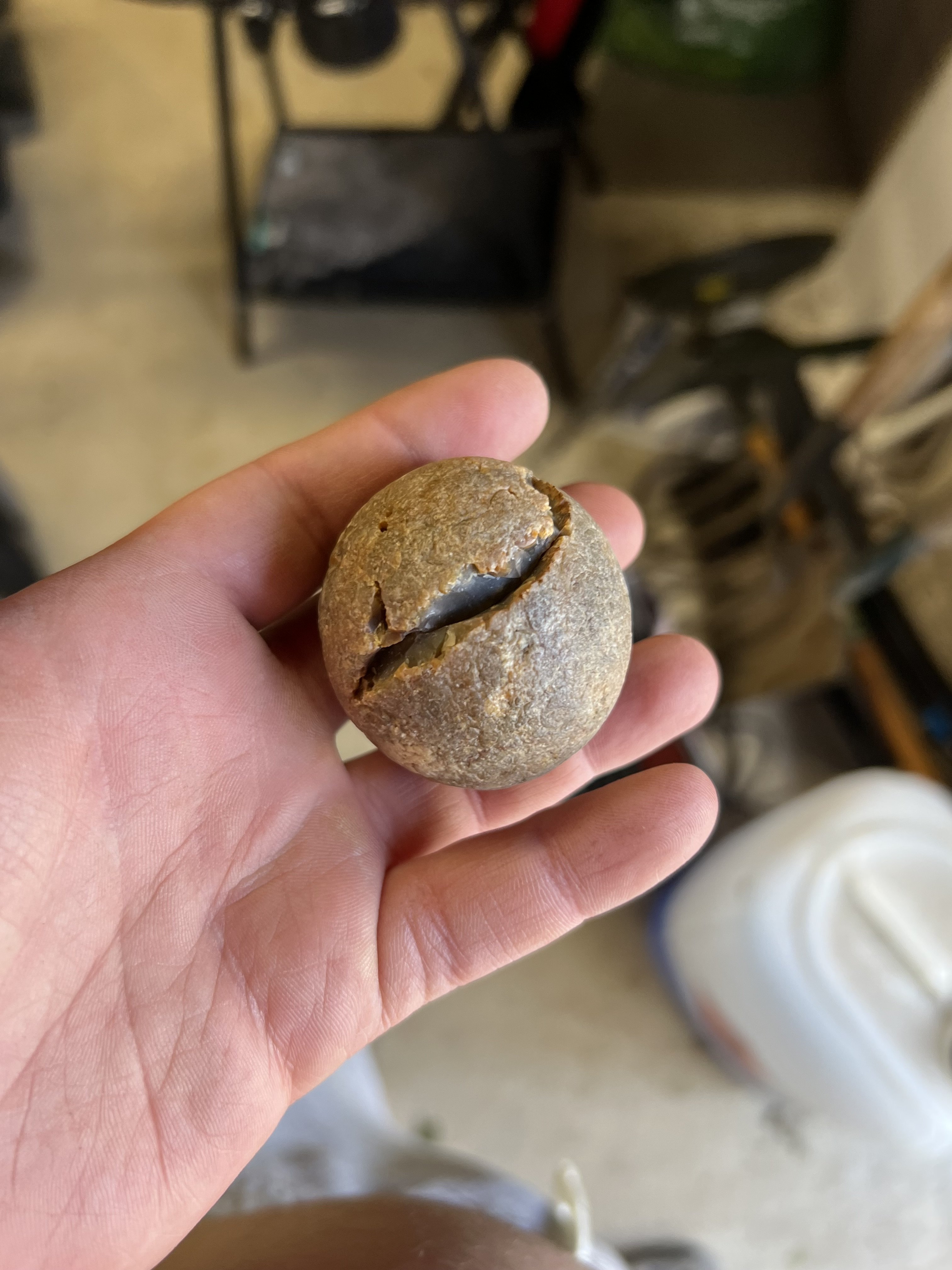 Is this a fossilised orange - Fossil ID - The Fossil Forum