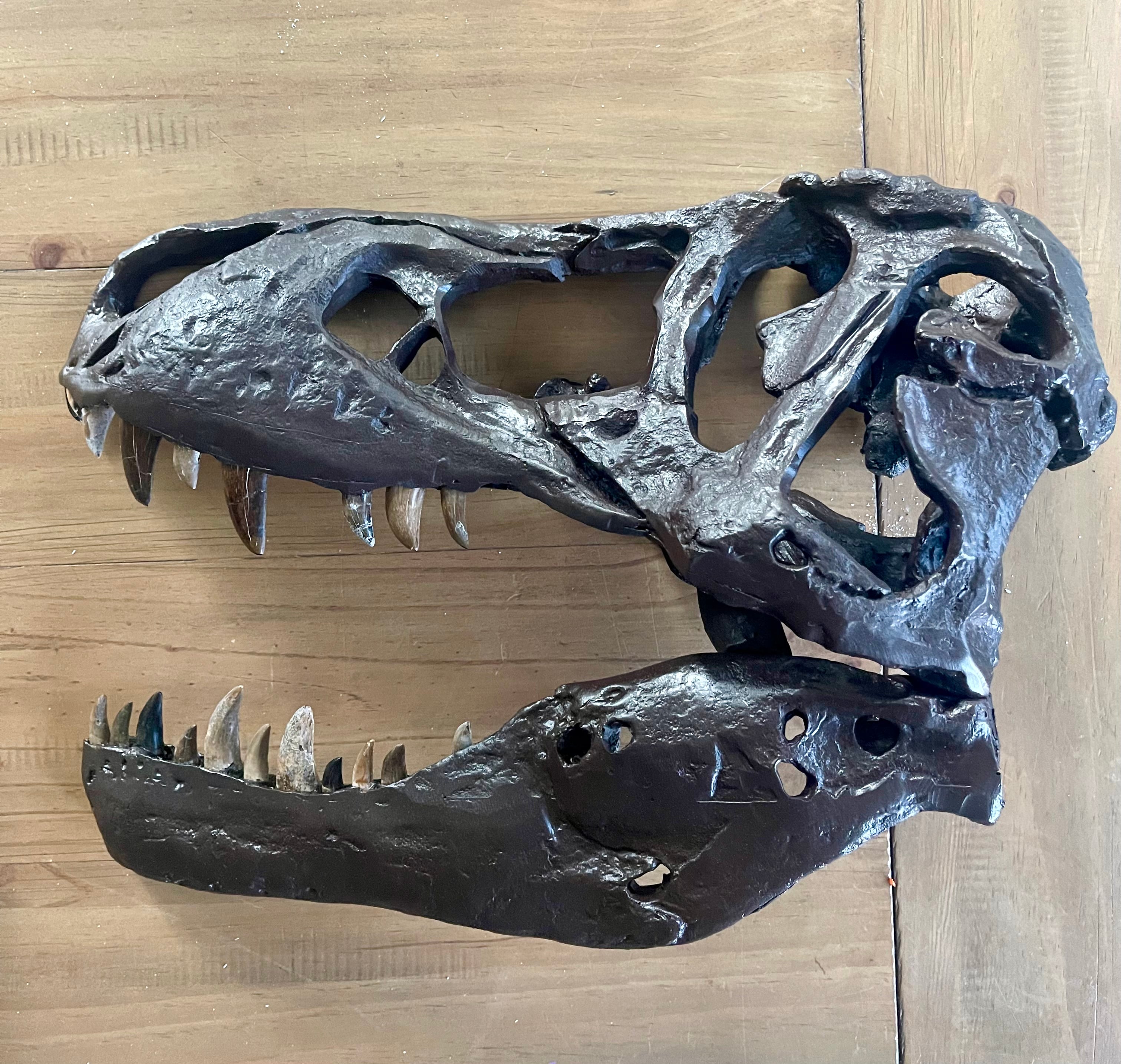 tyrannosaur skull - Paleo Re-creations - The Fossil Forum