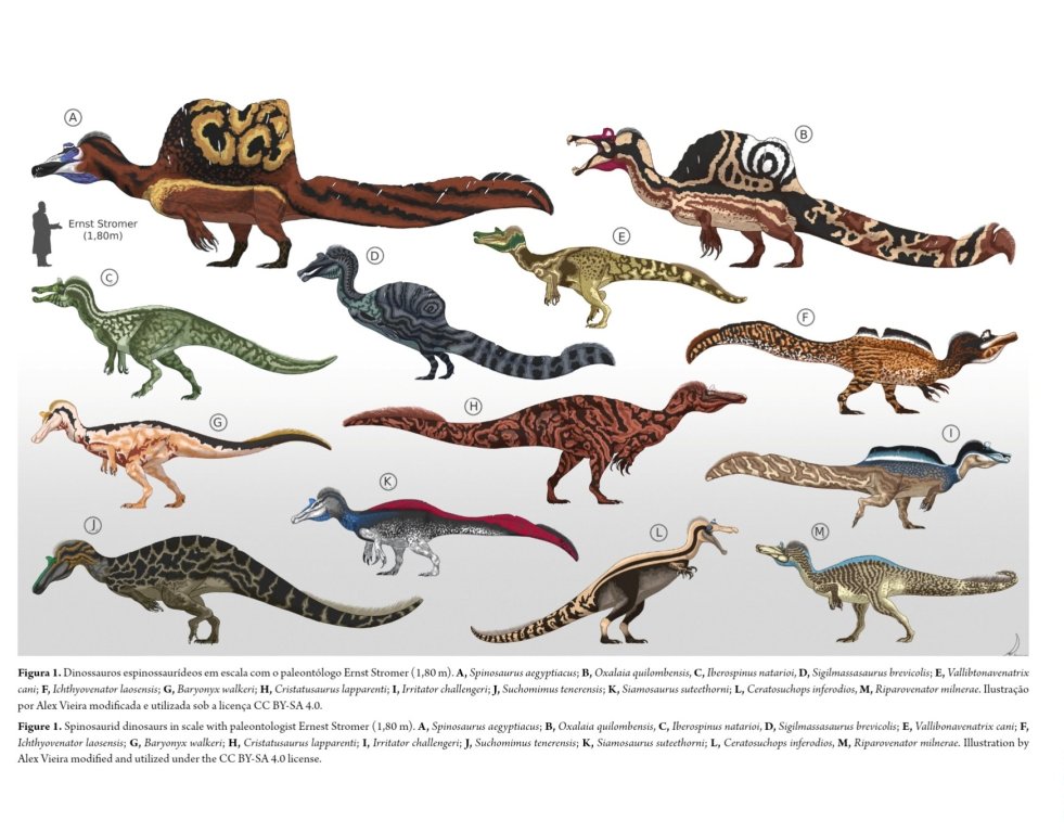 New Publication with a Review of the Spinosauridae Family - Fossil News ...
