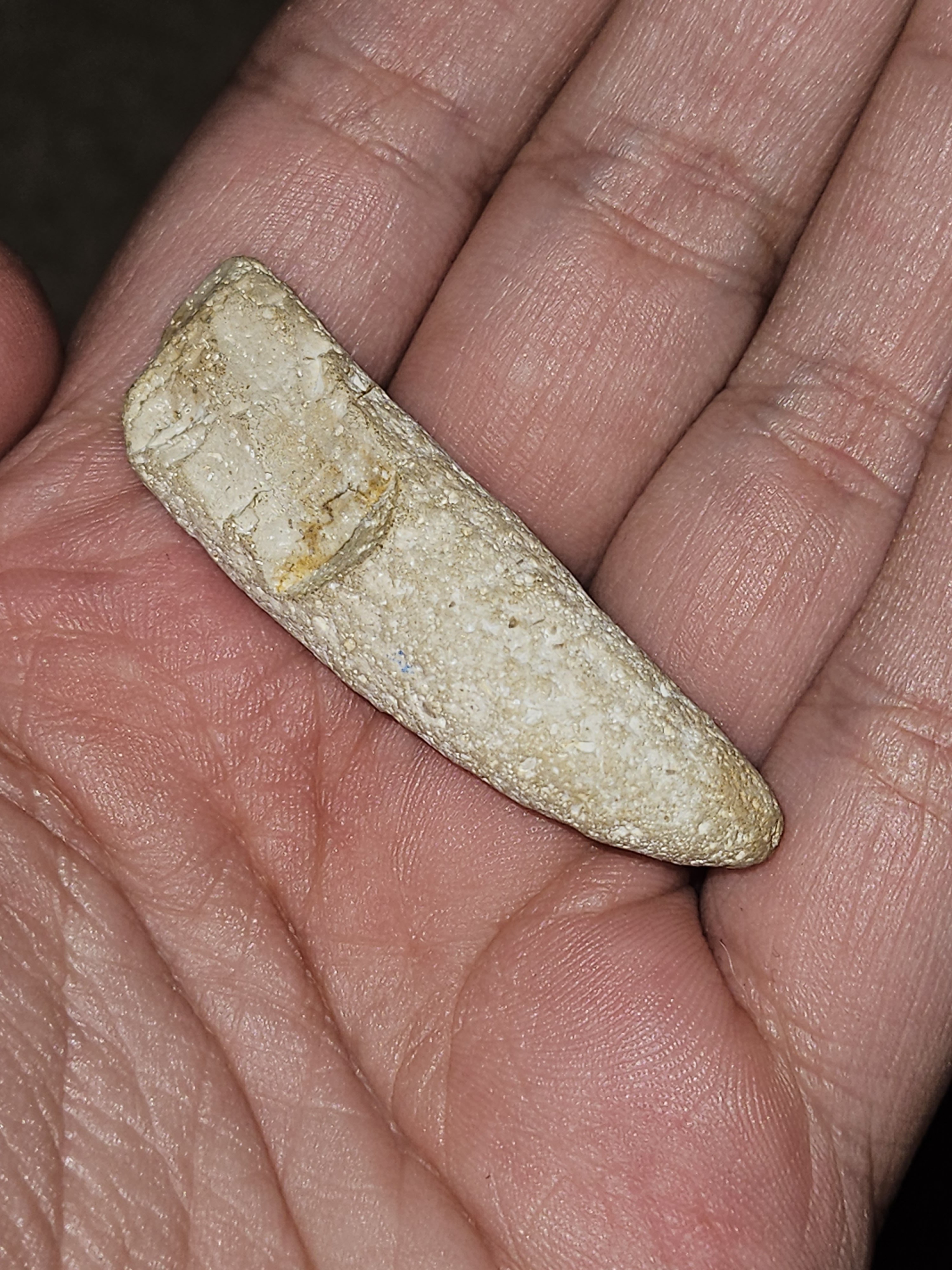 Tooth or Rock? - Is It Real? How to Recognize Fossil Fabrications - The ...