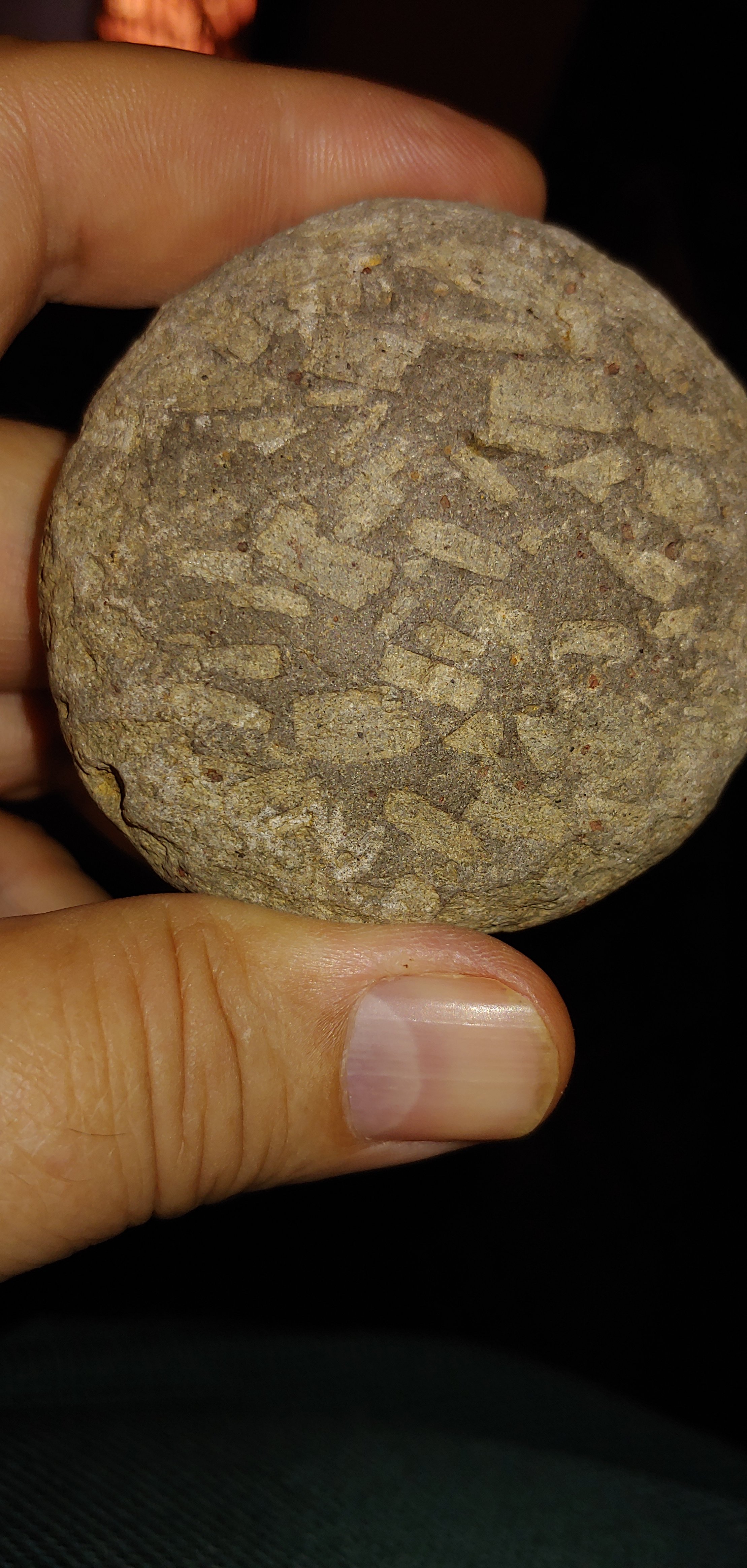 Fossil or just odd stone - Fossil ID - The Fossil Forum