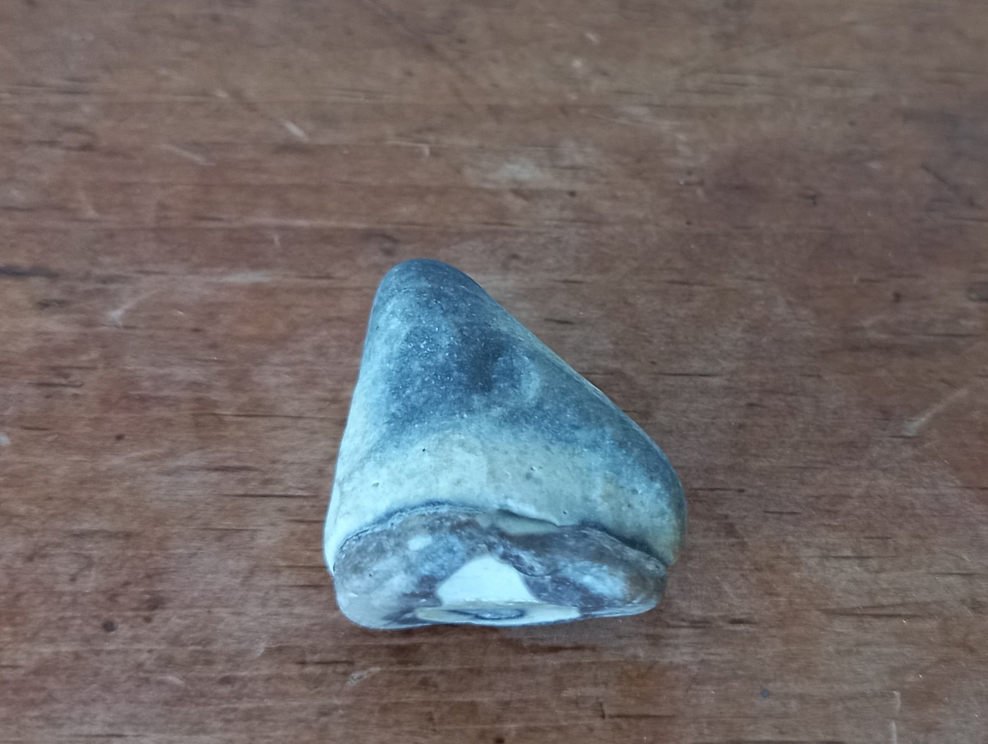 Tooth fossil? Or tooth shaped stone? - Fossil ID - The Fossil Forum