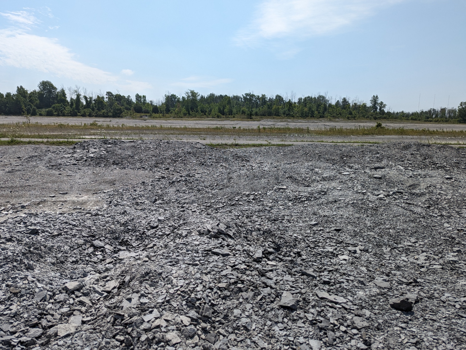 First time visit to Penn Dixie - Fossil Hunting Trips - The Fossil Forum