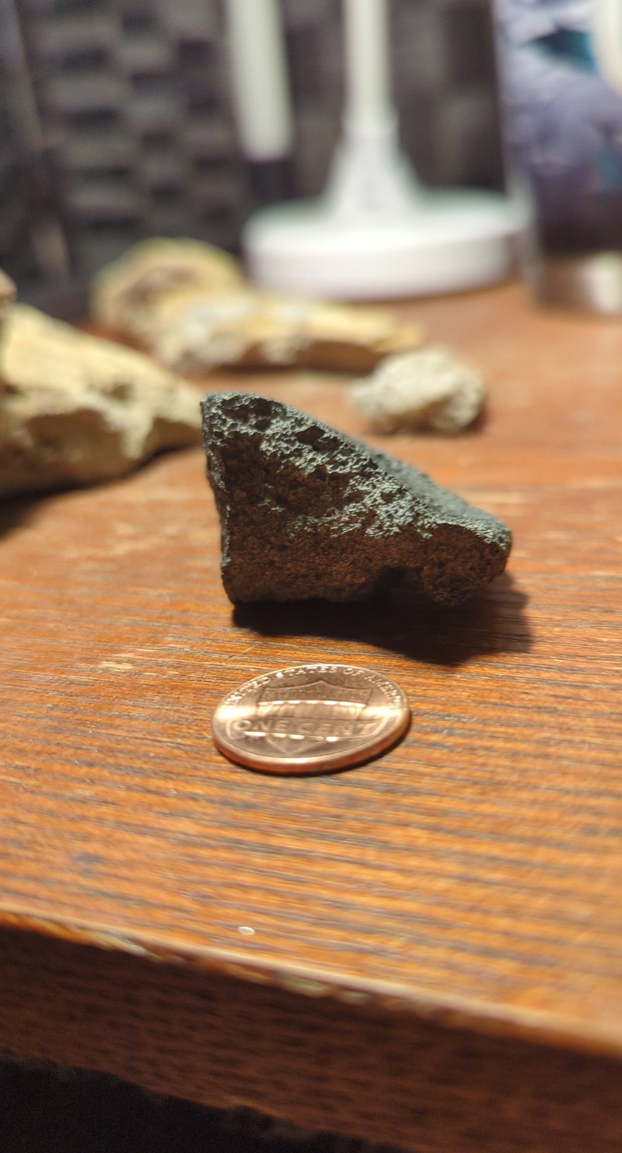 El Paso Colorado - fossil or pumice - Fossil ID - The Fossil Forum