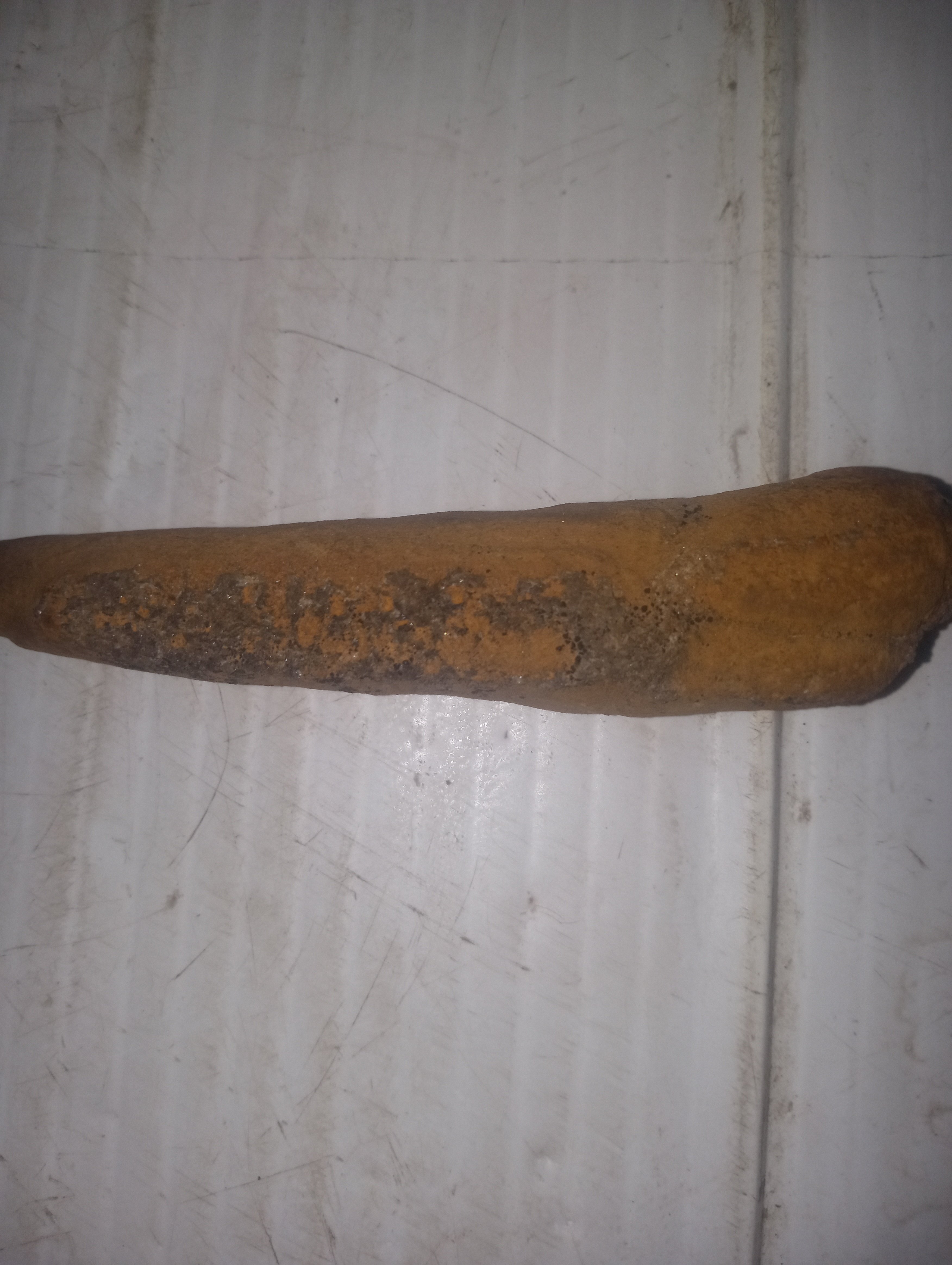 Fossilized human finger - Fossil ID - The Fossil Forum