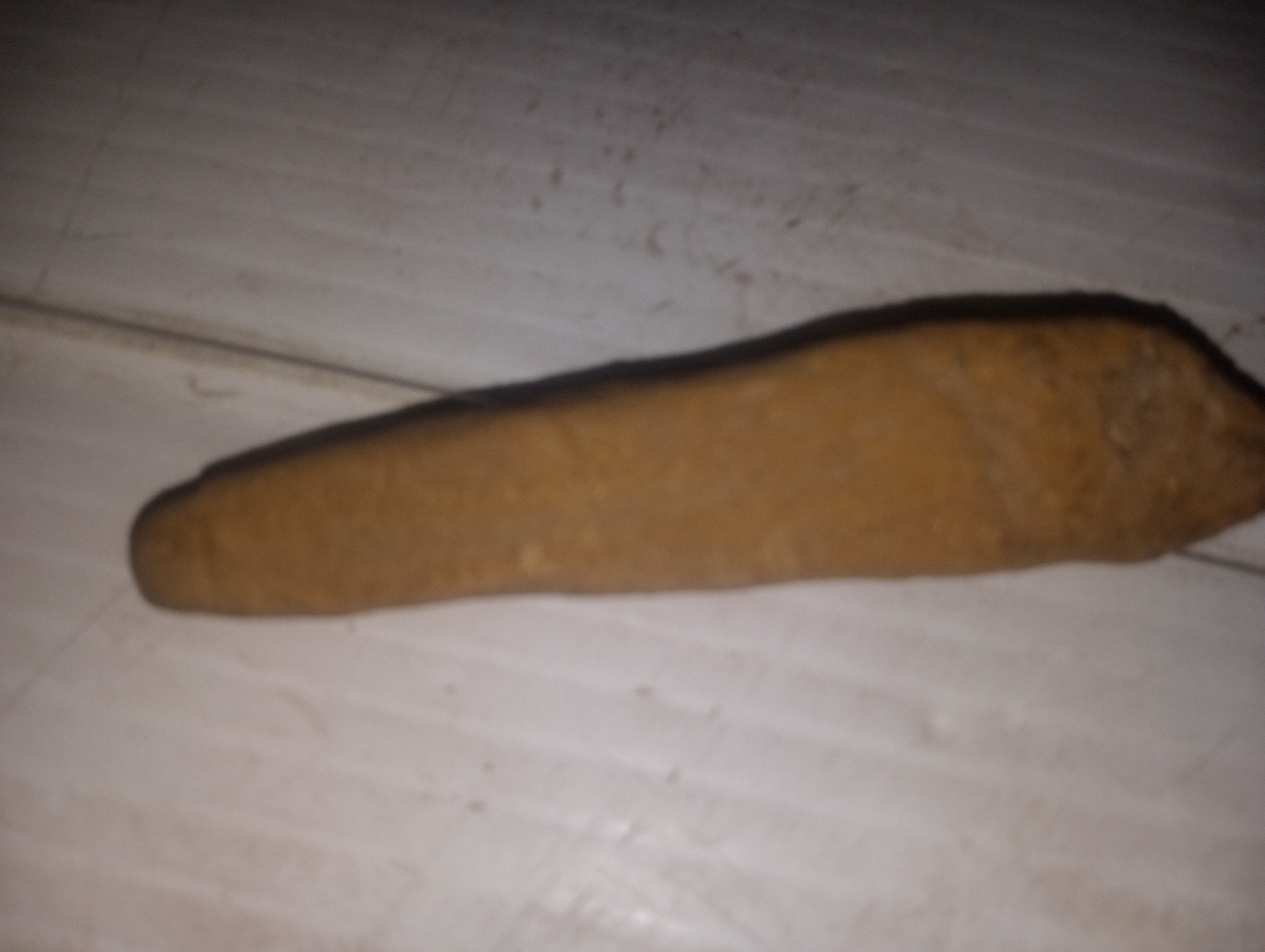 Fossilized human finger - Fossil ID - The Fossil Forum