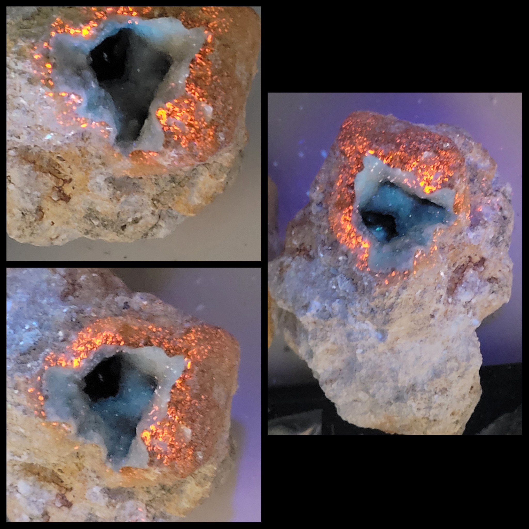UV fossil coral from Tampa Florida - Rocks & Minerals - The Fossil Forum