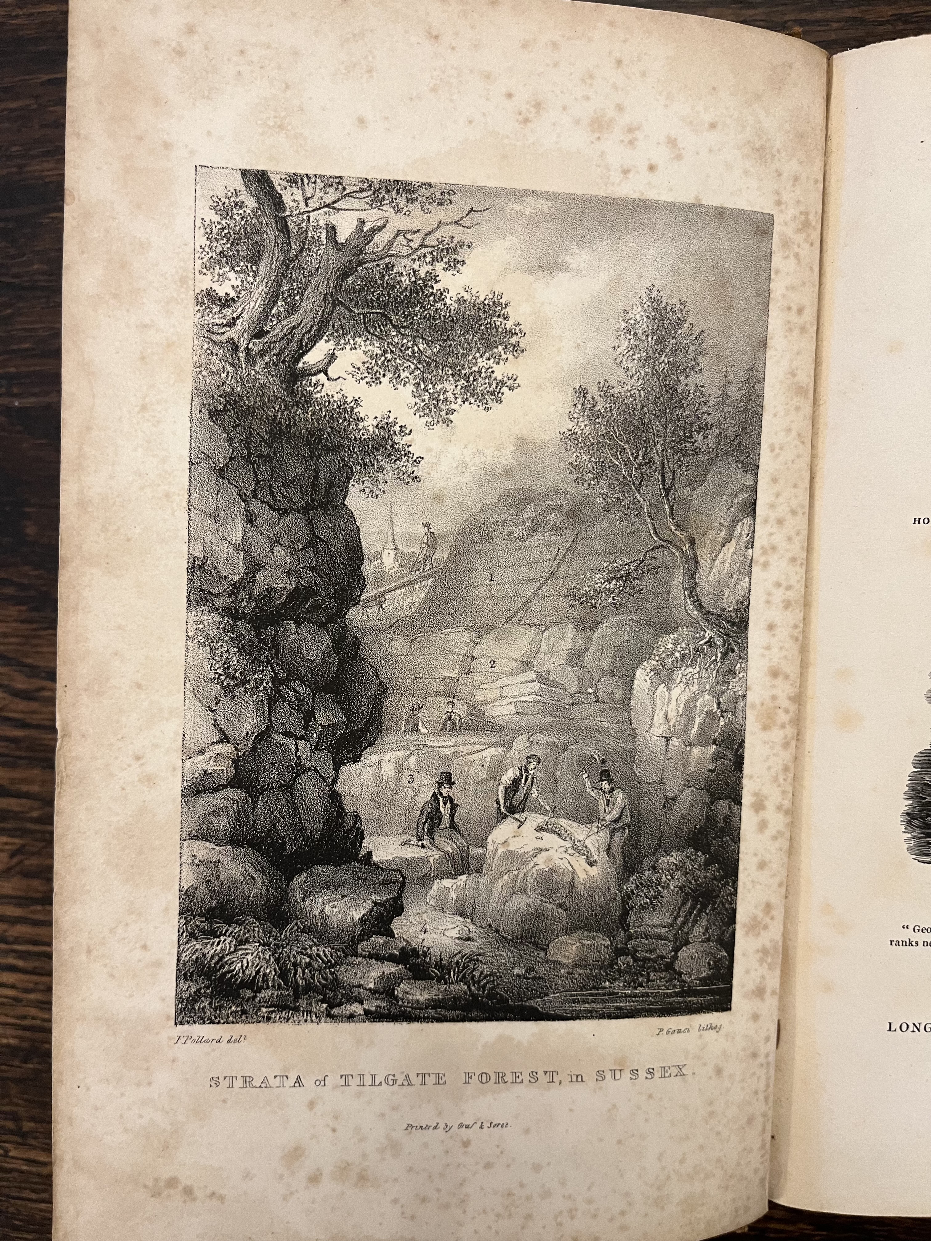 My Collection of Victorian Geology and Palaeontology Books and ...