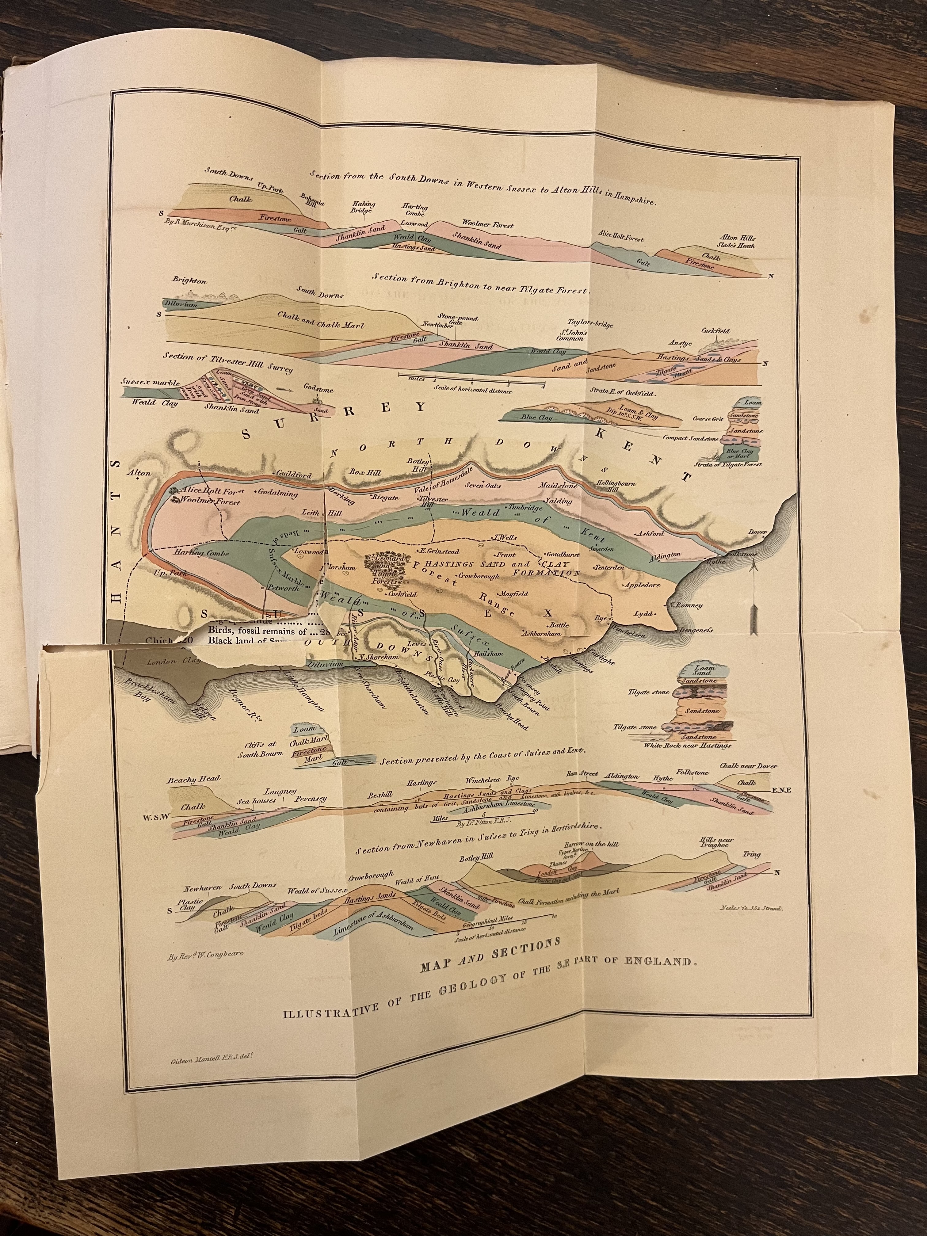 My Collection of Victorian Geology and Palaeontology Books and ...