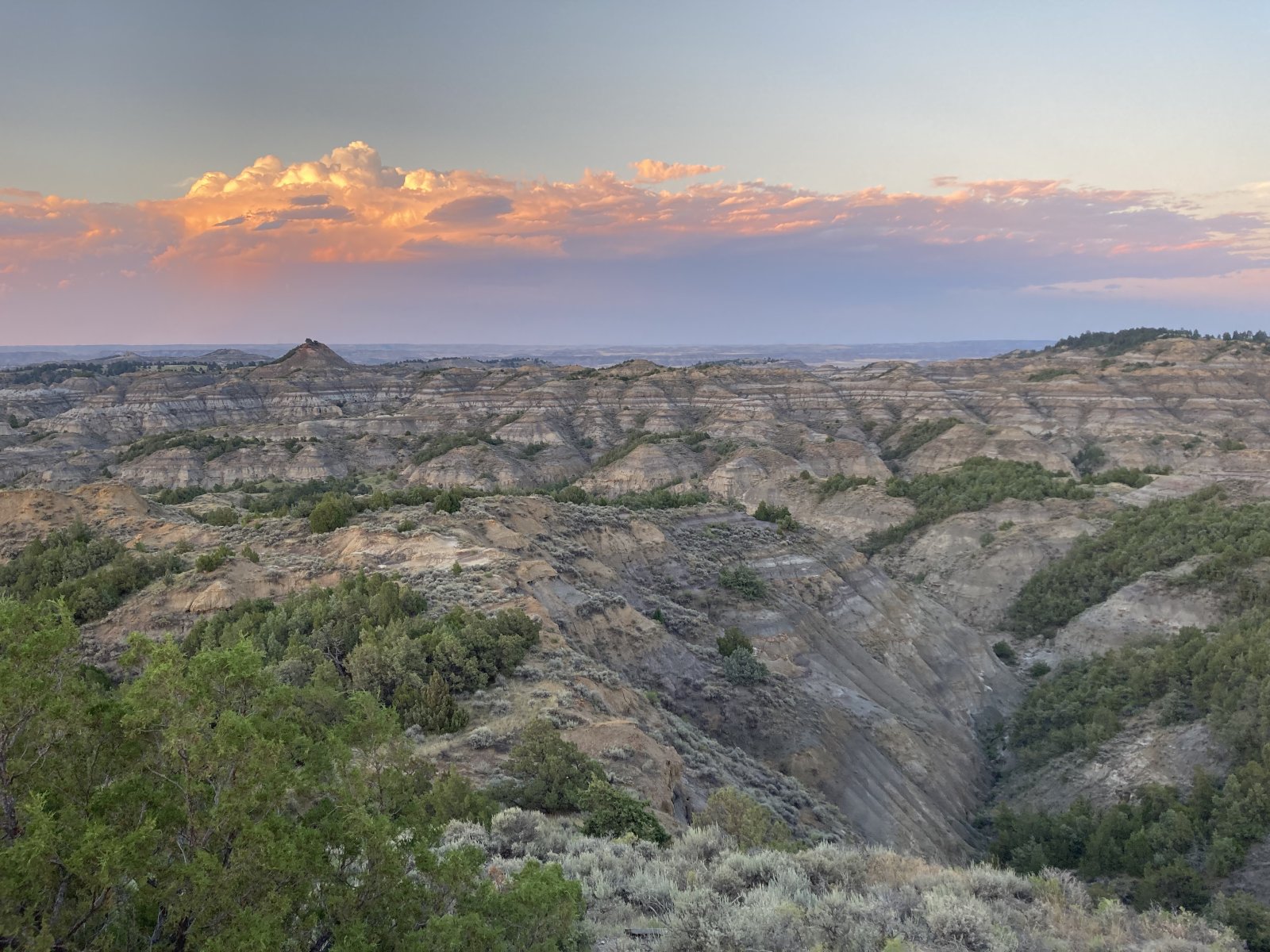 Sunset over Hell Creek - Cretaceous - The Fossil Forum