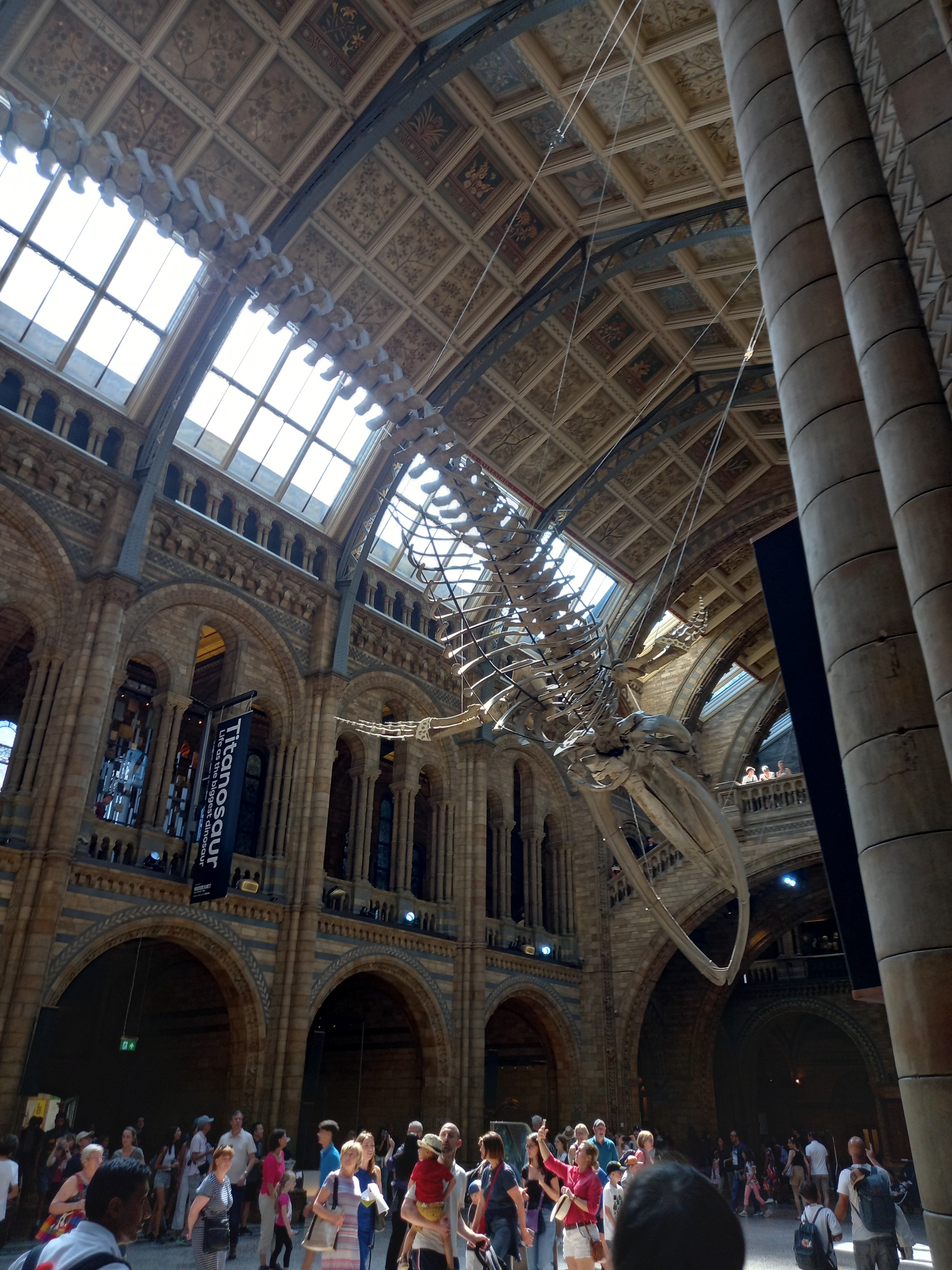 A trip to the Natural History Museum London + Titanosaur exhibition - A ...
