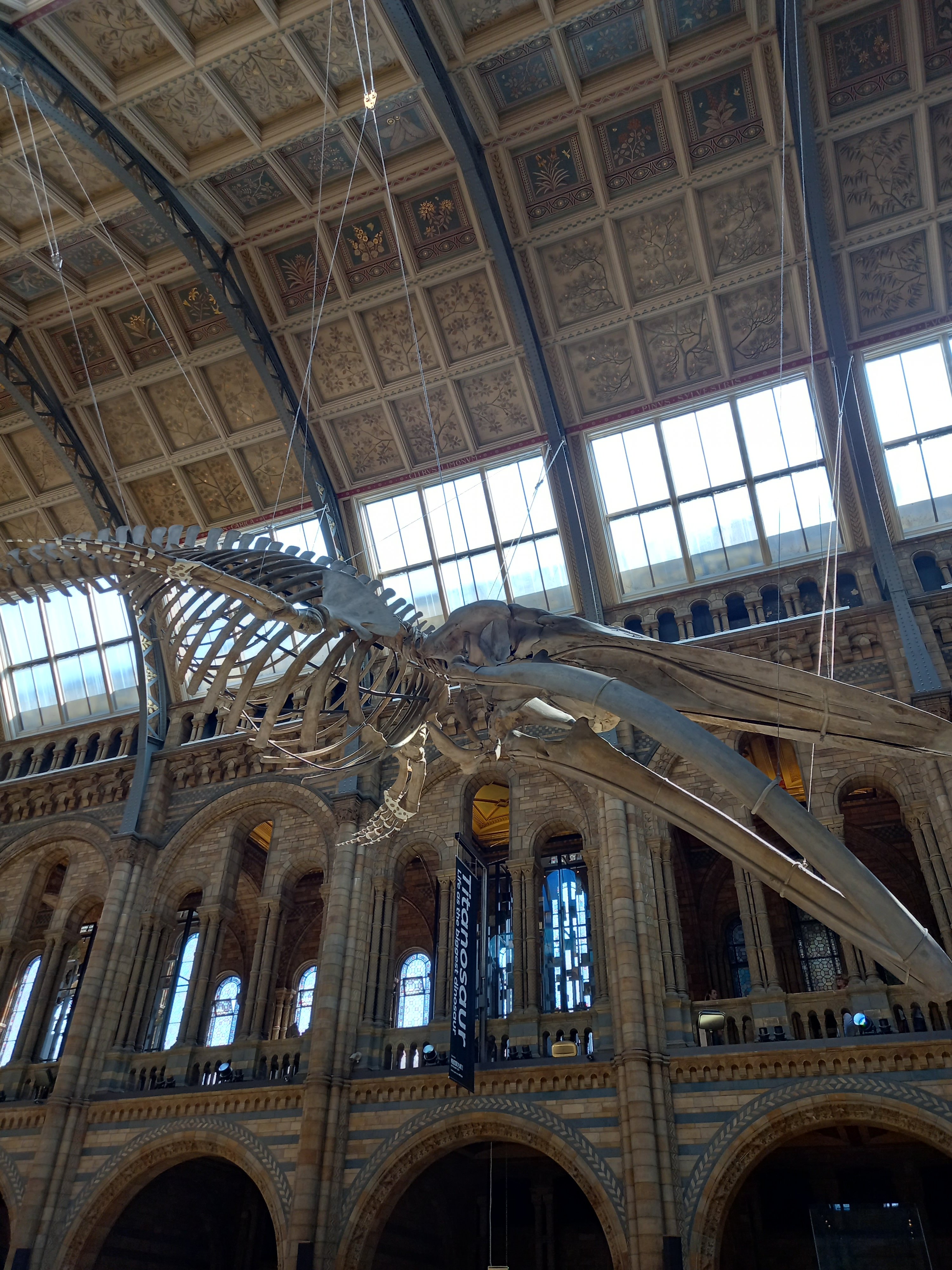 A trip to the Natural History Museum London + Titanosaur exhibition - A ...