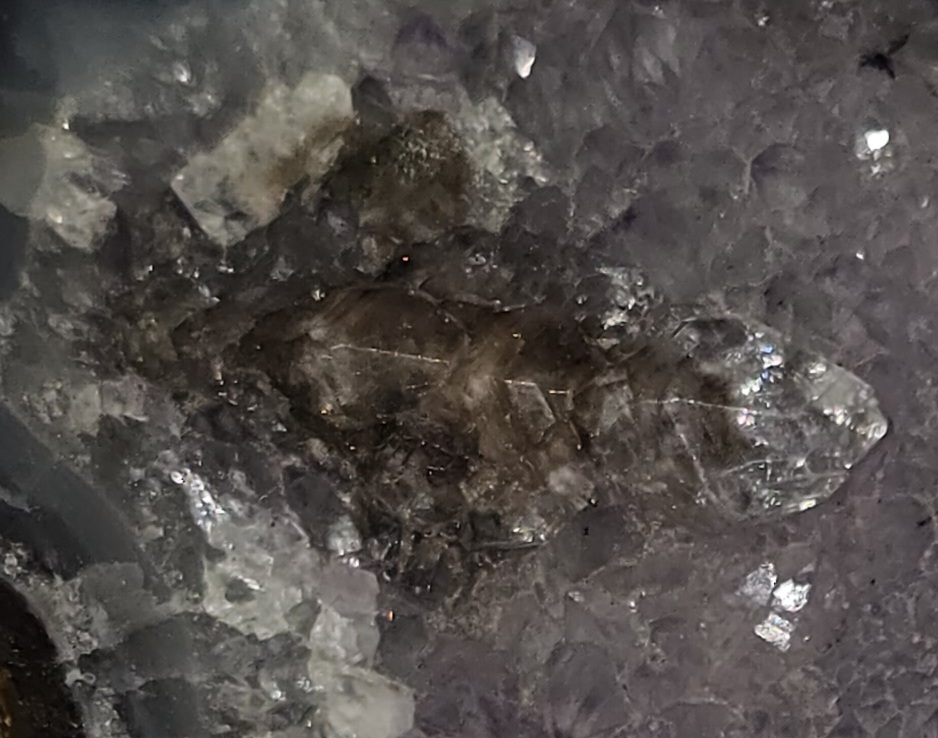 Tiny fish trapped inside amethyst geode formed of insects - Micro ...