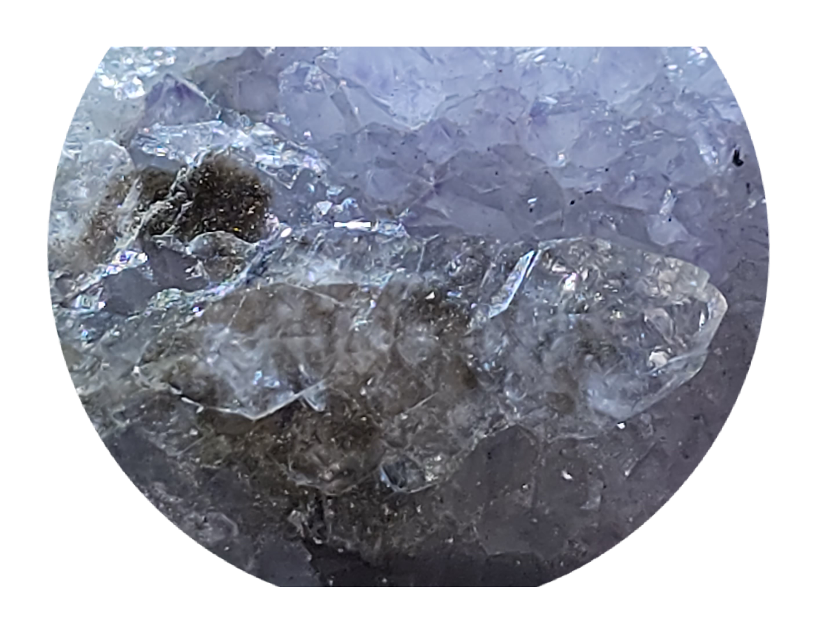 Tiny fish trapped inside amethyst geode formed of insects - Micro ...