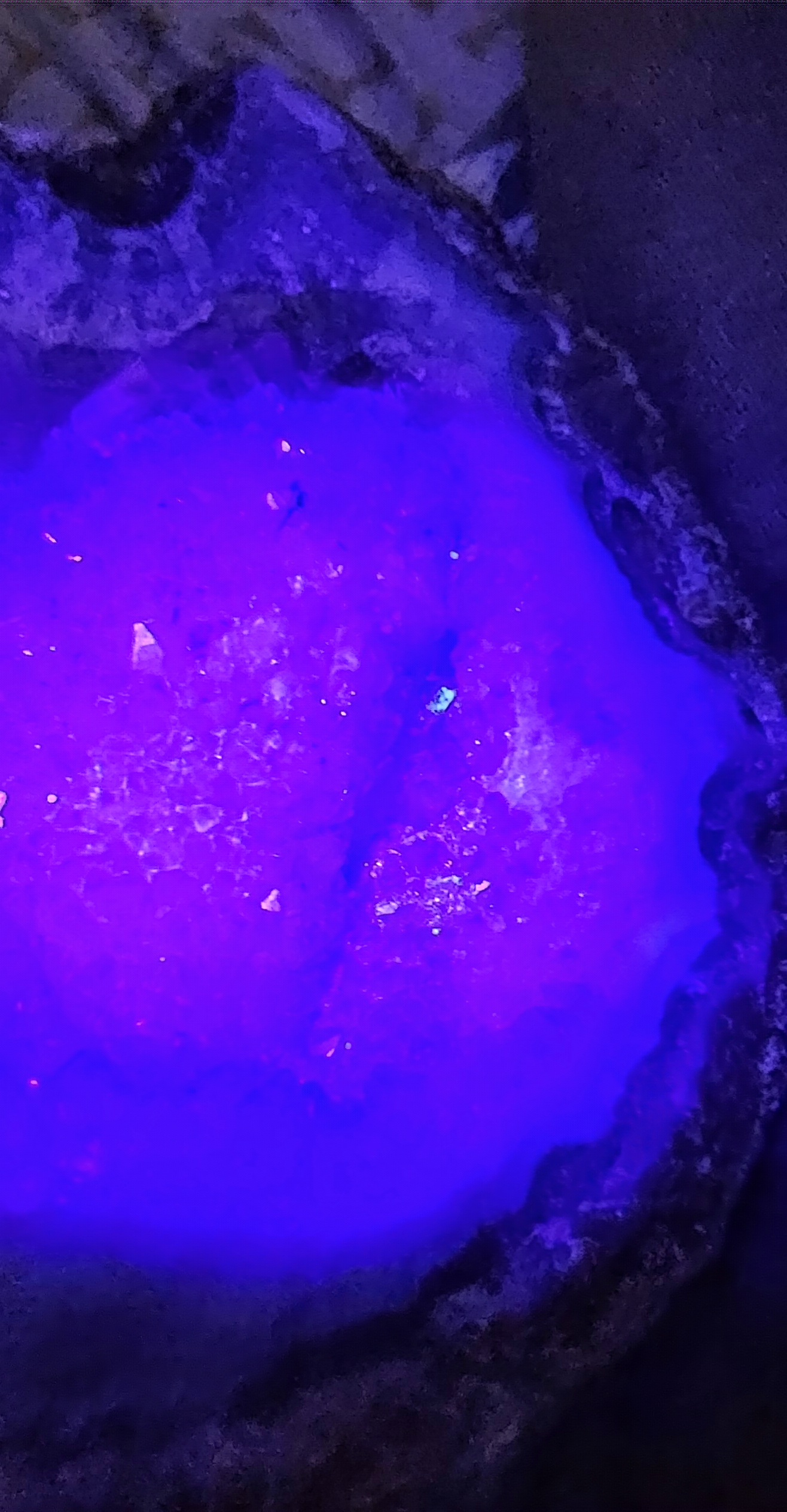 Tiny fish trapped inside amethyst geode formed of insects - Micro ...