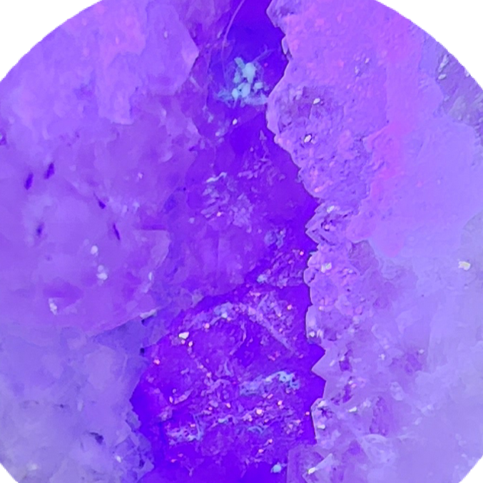 Tiny fish trapped inside amethyst geode formed of insects - Micro ...