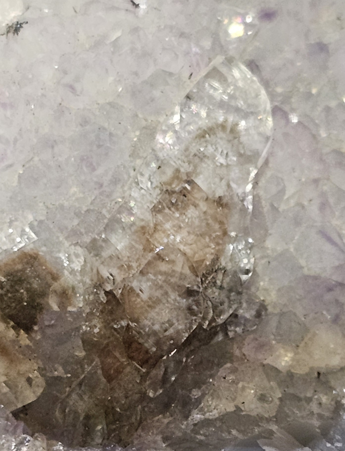 Tiny fish trapped inside amethyst geode formed of insects - Micro ...