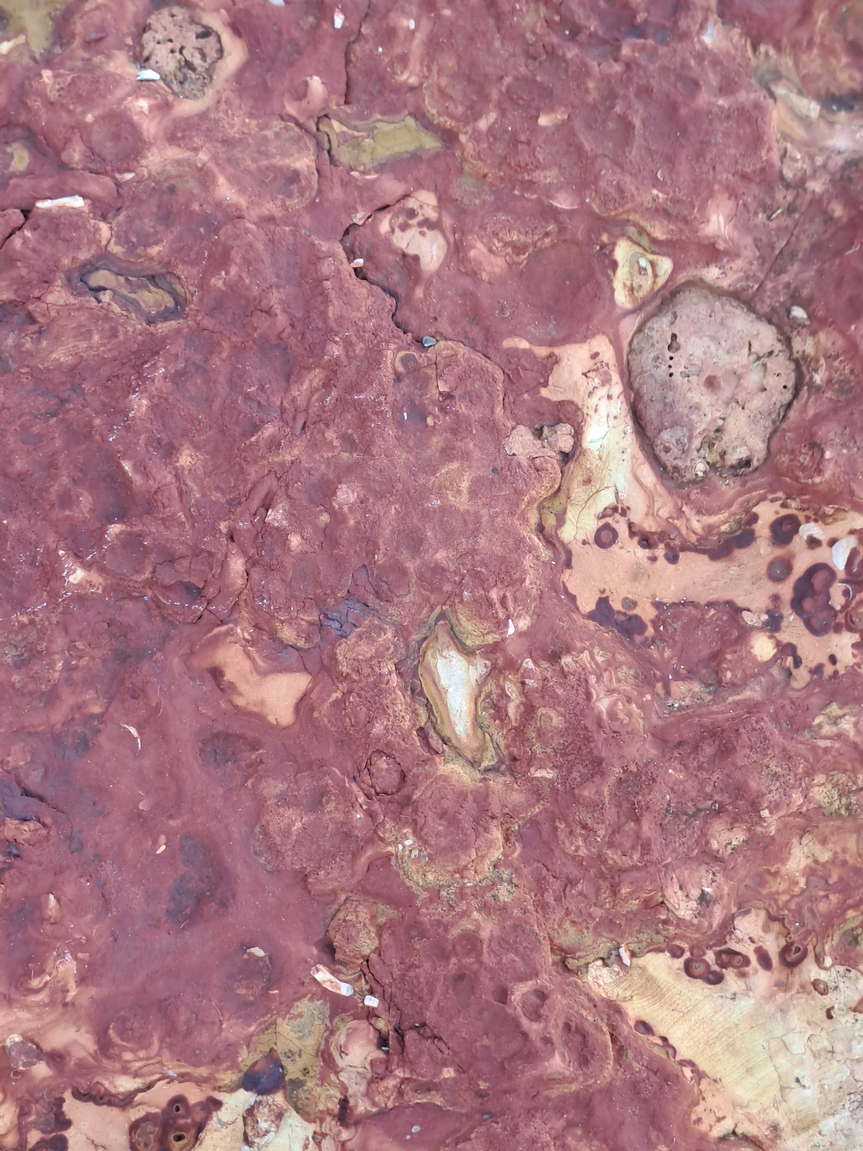 Hunstanton Cliffs Norfolk UK - Fossil Hunting Trips - The Fossil Forum