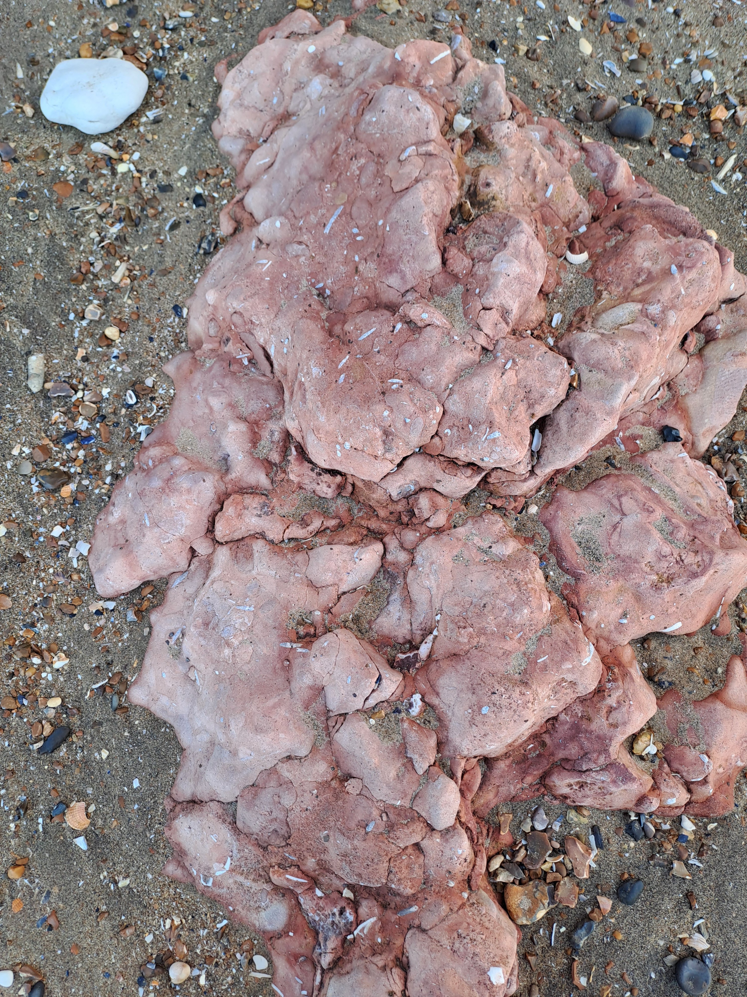 Hunstanton Cliffs Norfolk UK - Fossil Hunting Trips - The Fossil Forum
