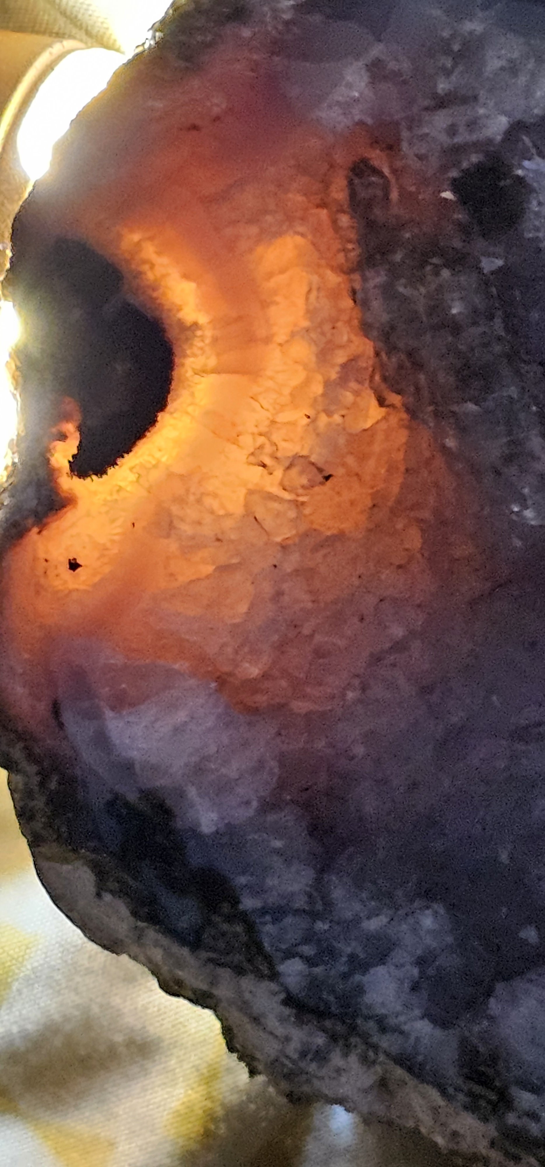 Tiny fish trapped inside amethyst geode formed of insects - Micro ...