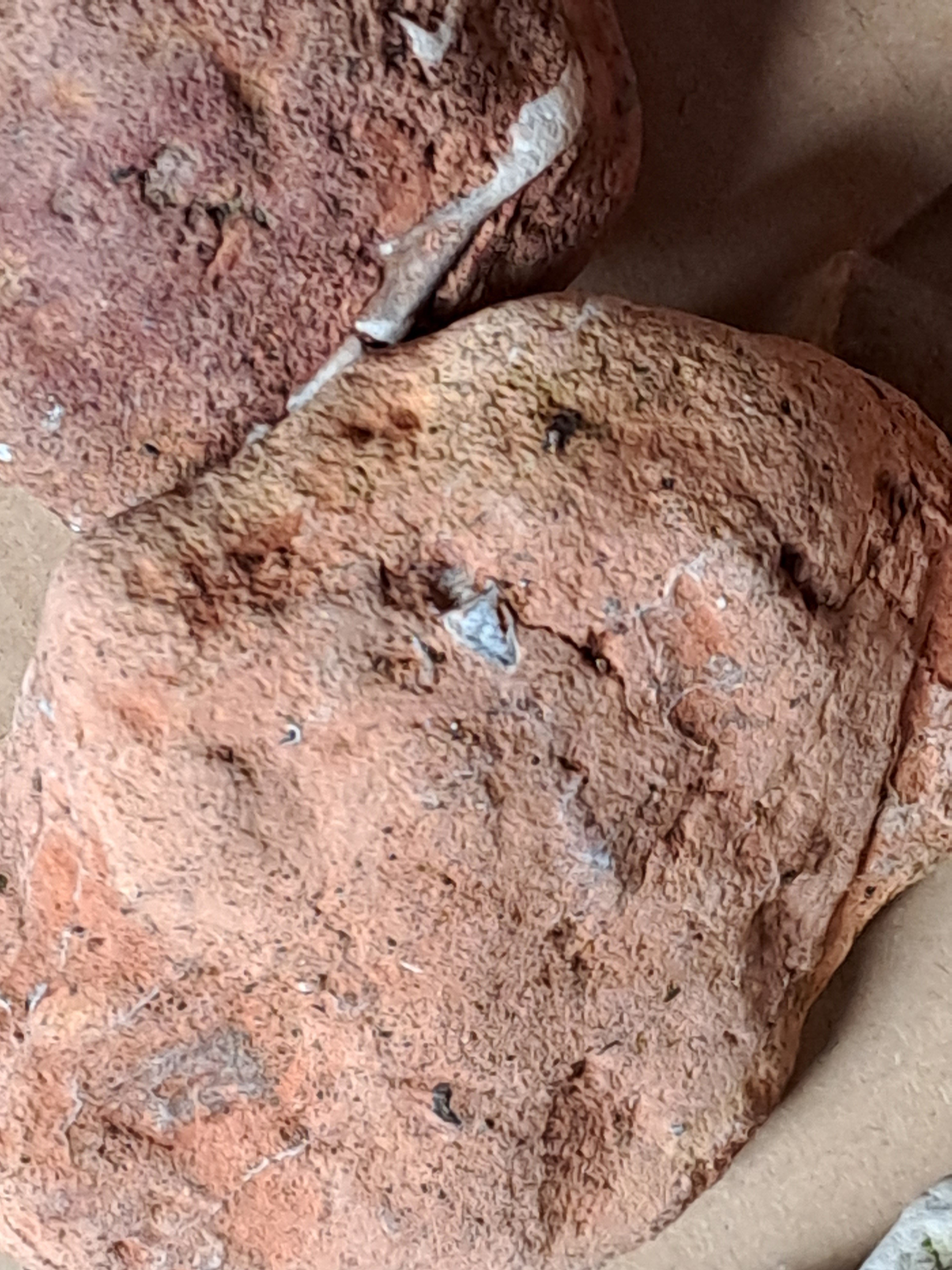 Hunstanton Cliffs Norfolk UK - Fossil Hunting Trips - The Fossil Forum