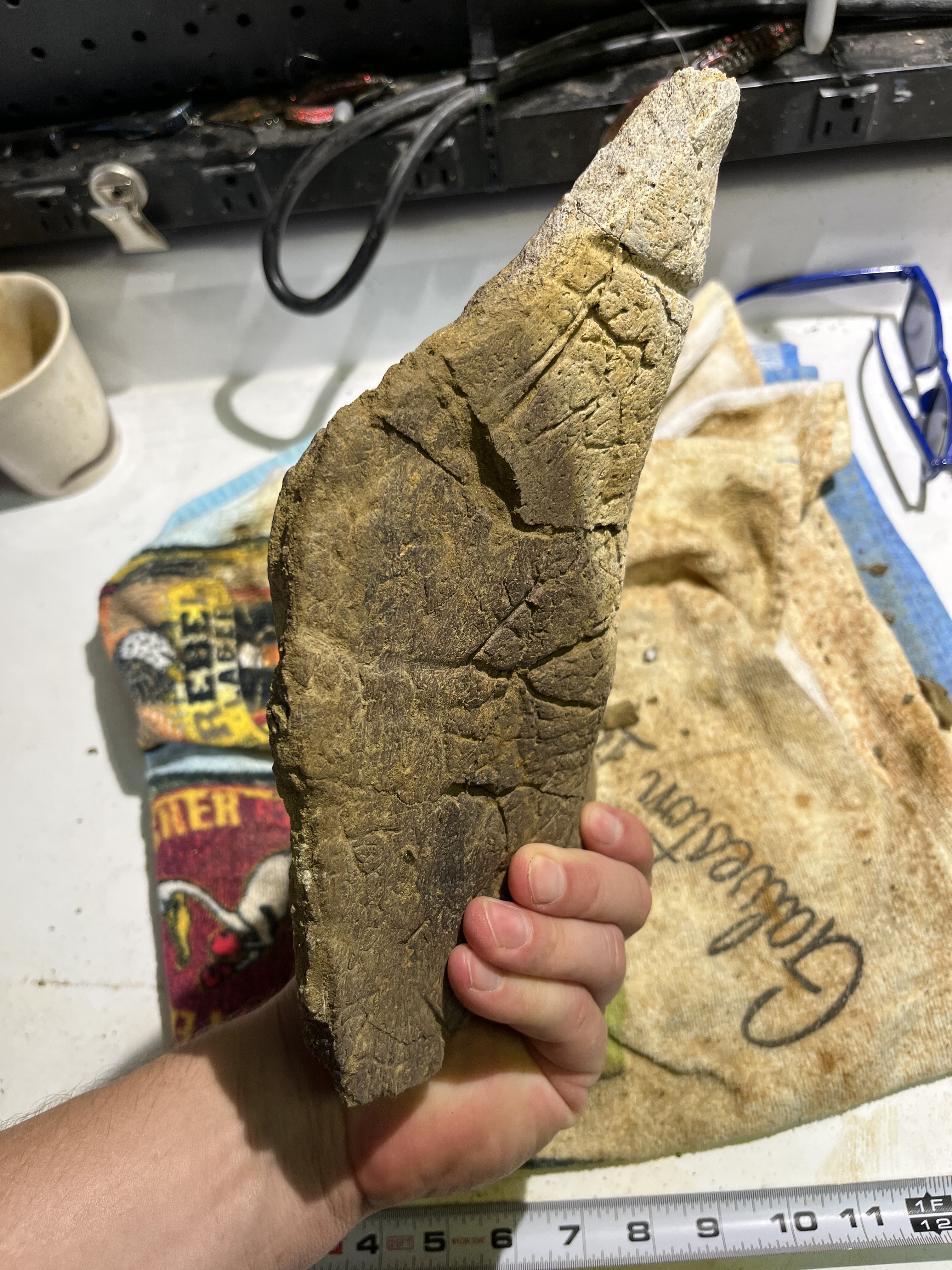 Fossil ID Help - Triceratops or Nodosaur? Hell Creek Formation, Harding ...